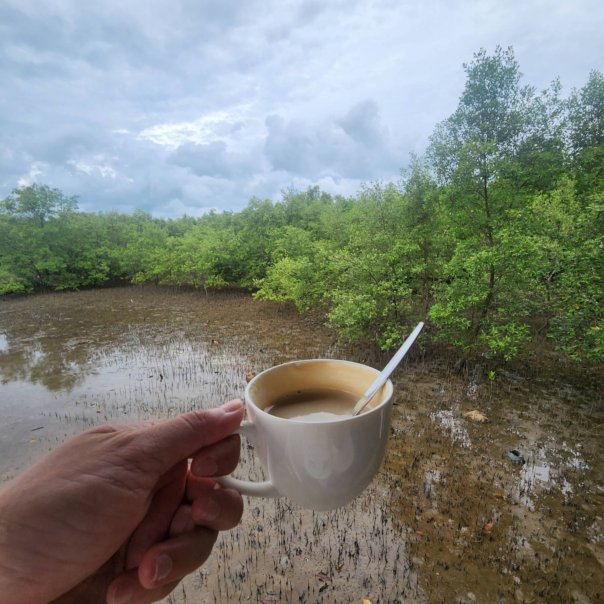 รีวิว Mango Tree Coffee And Resort - ร้านกาแฟที่นั่งยื่นไปในป่าชายเลน