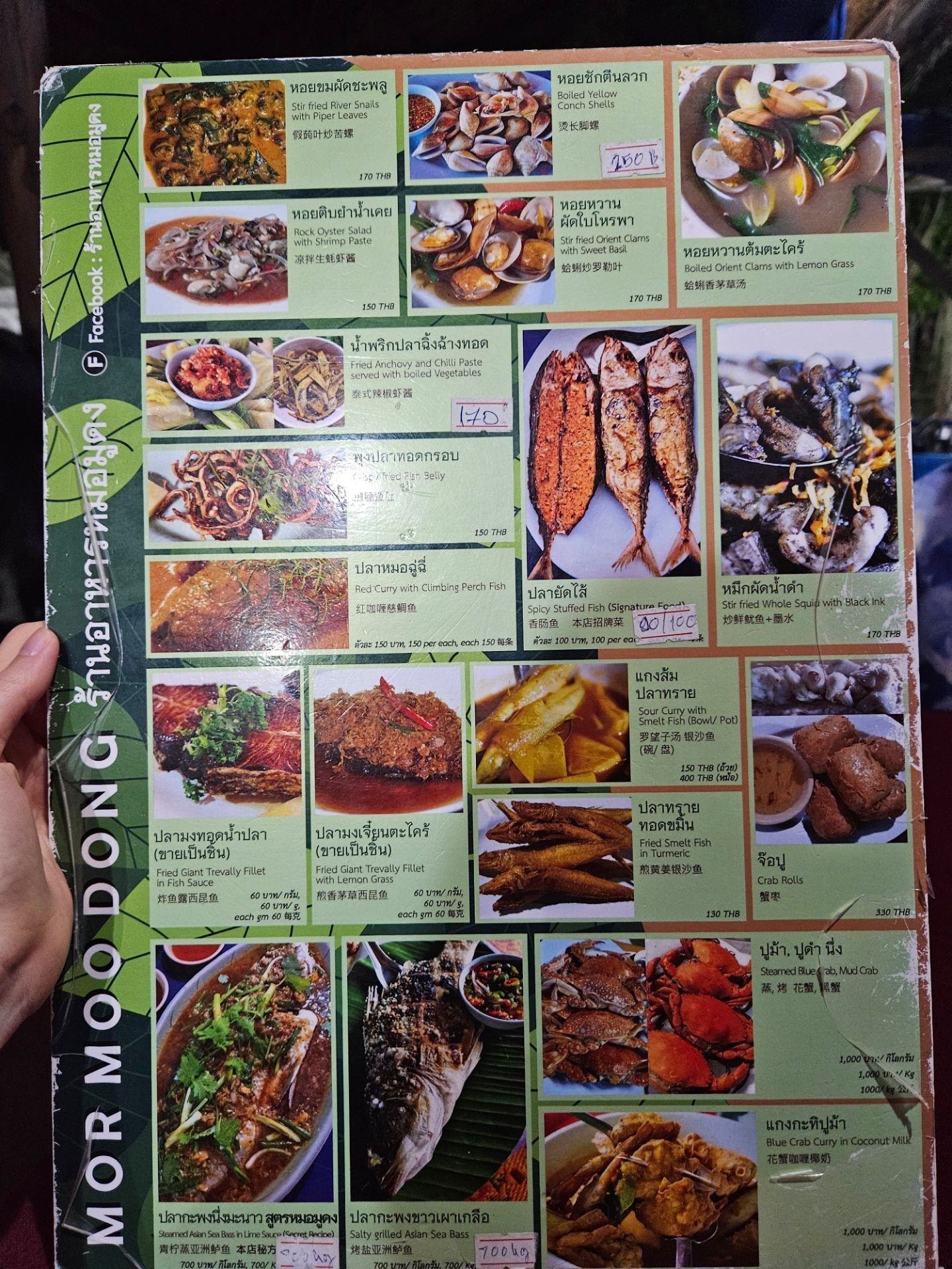 รูป หมอมูดง