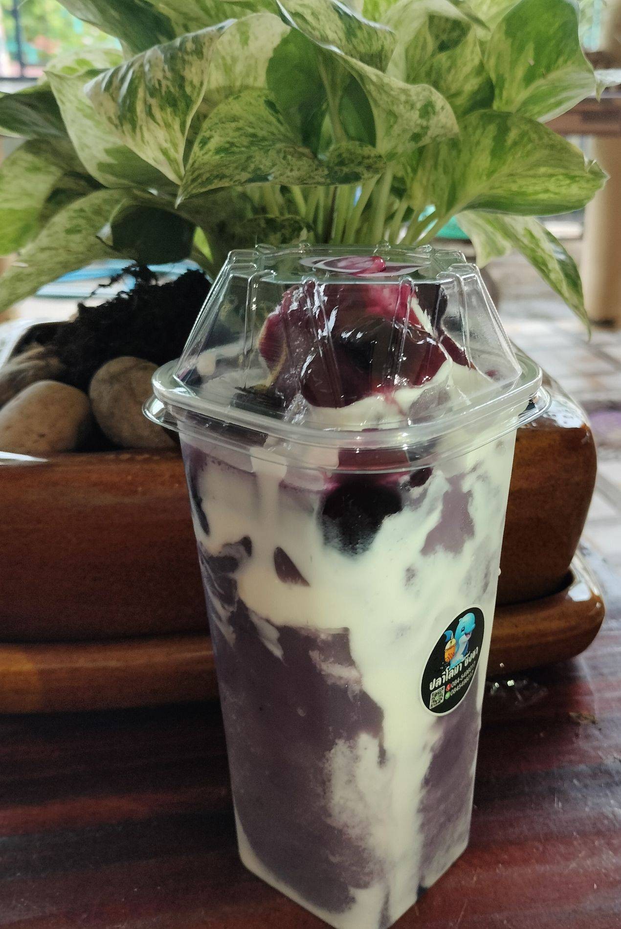 ร้าน ปลาโลมา ชงชา | รีวิวร้านอาหาร