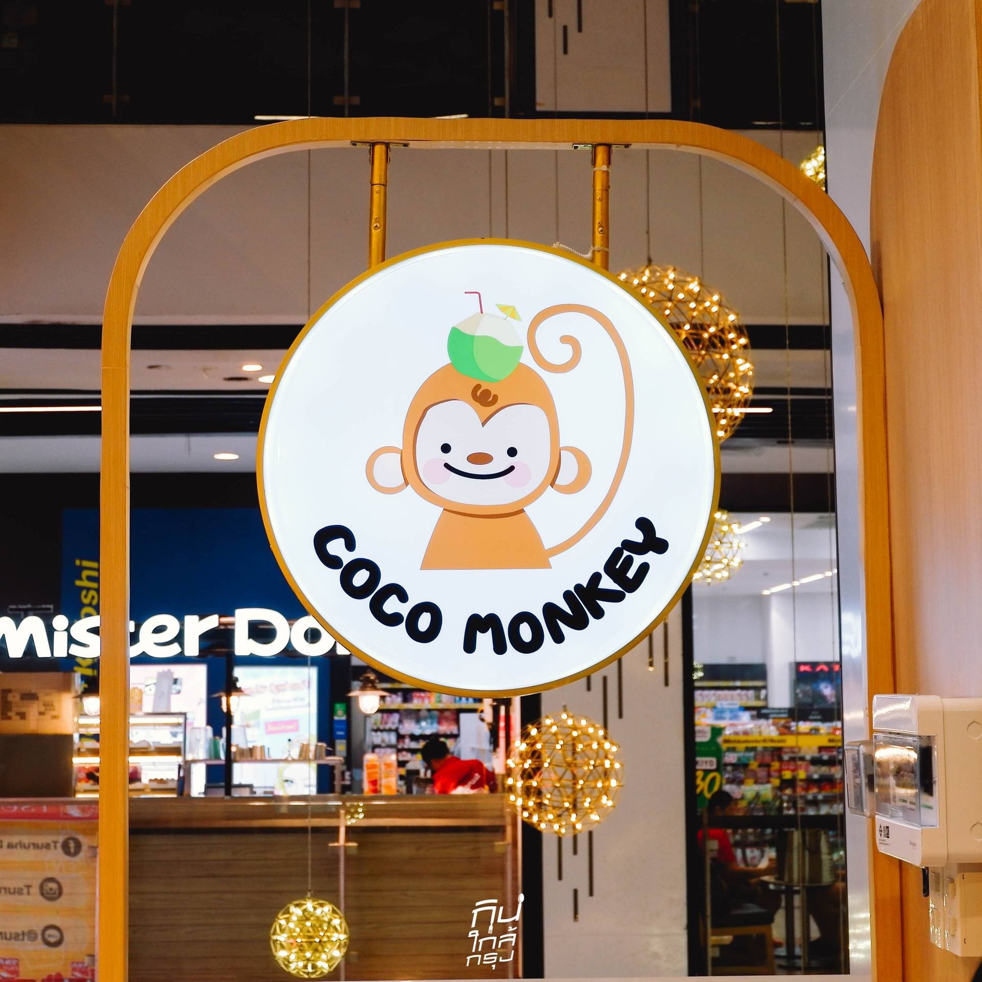 Coco-Monkey คาเฟ่มะพร้าว