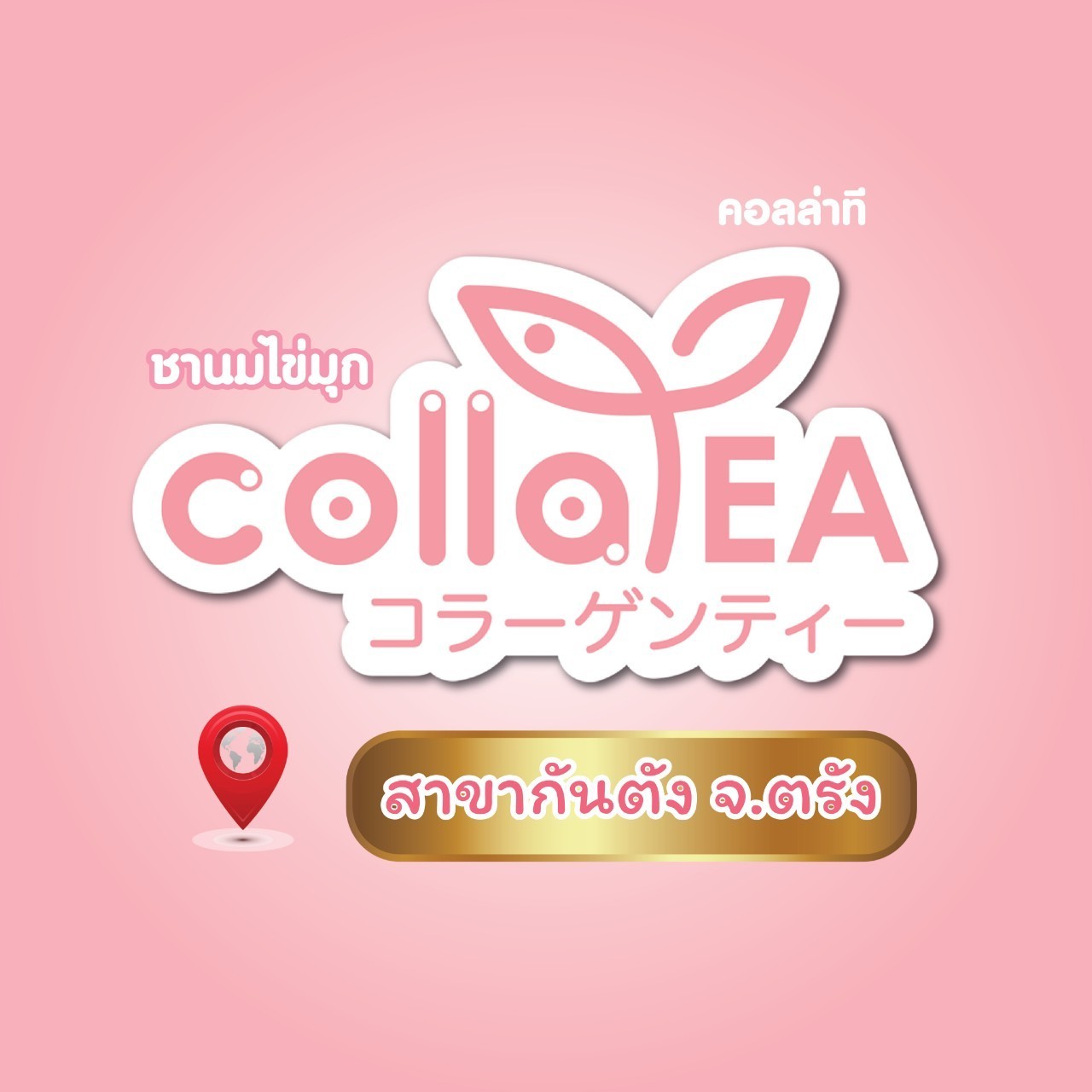 ร้าน Colla Tea สาขากันตัง จ.ตรัง | รีวิวร้านอาหาร