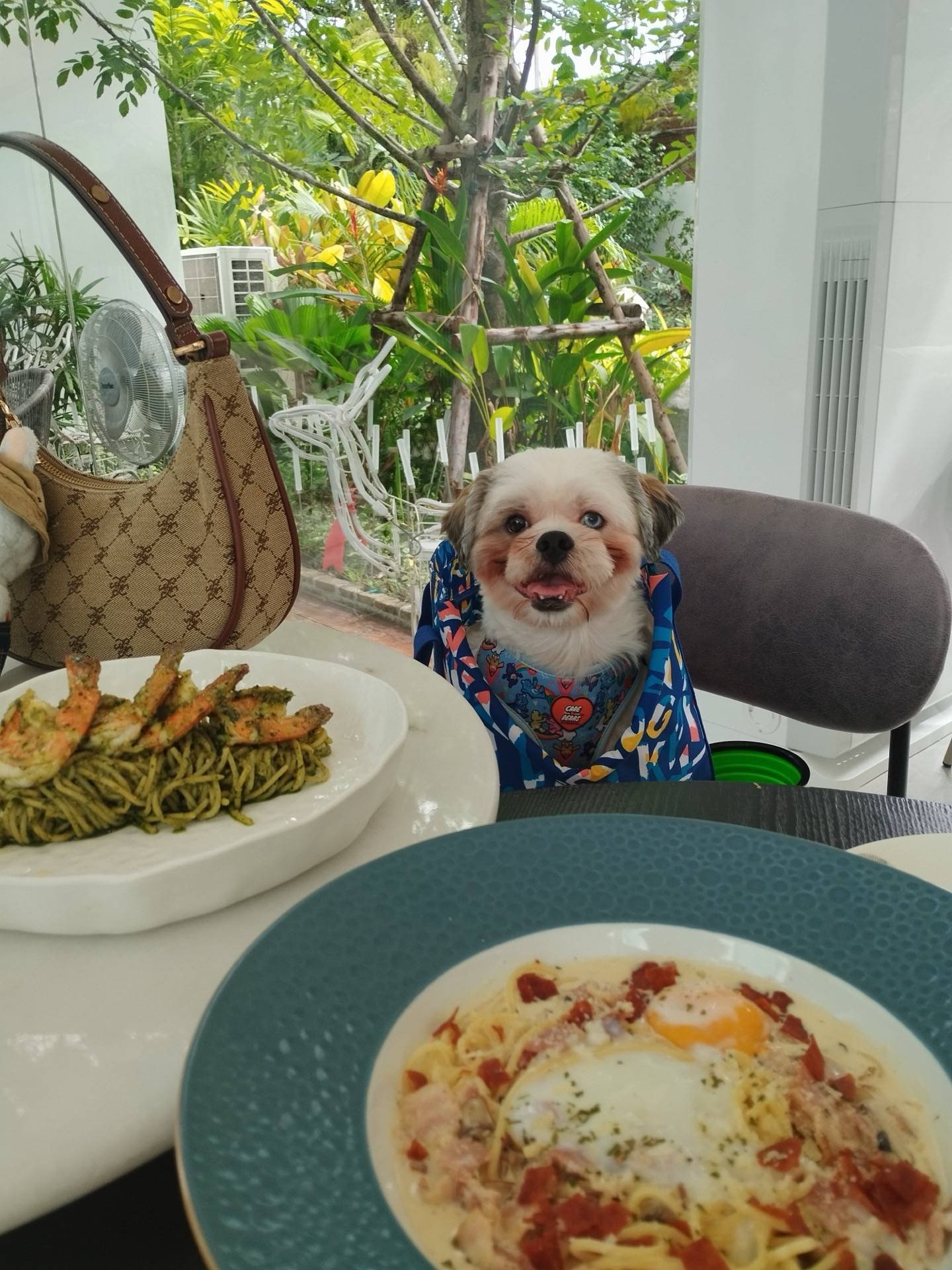 รีวิว Whiteline Cafe & Restaurant HQ - Pet friendly cafe มีพื้นที่สวน ...