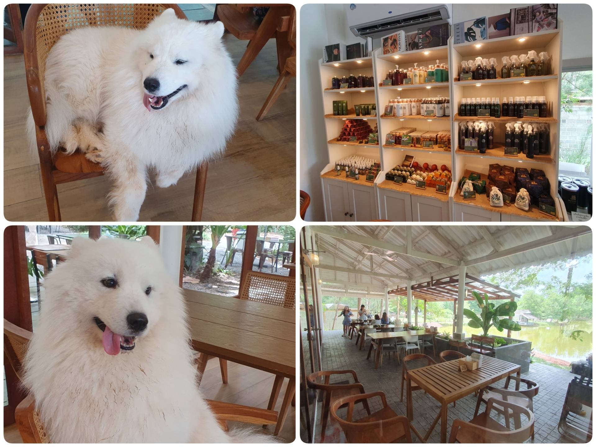 รูป Mesook Farm (มีสุข ฟาร์ม)