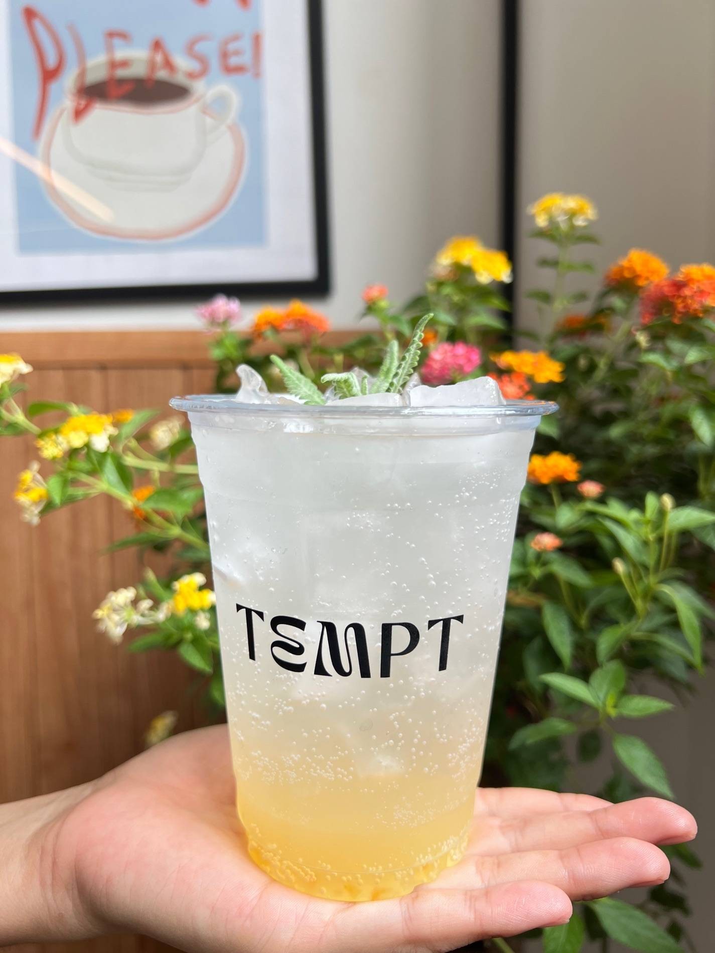 TEMPT Cafe & brunch - สั่งอาหารเดลิเวอรี | Wongnai x LINE MAN