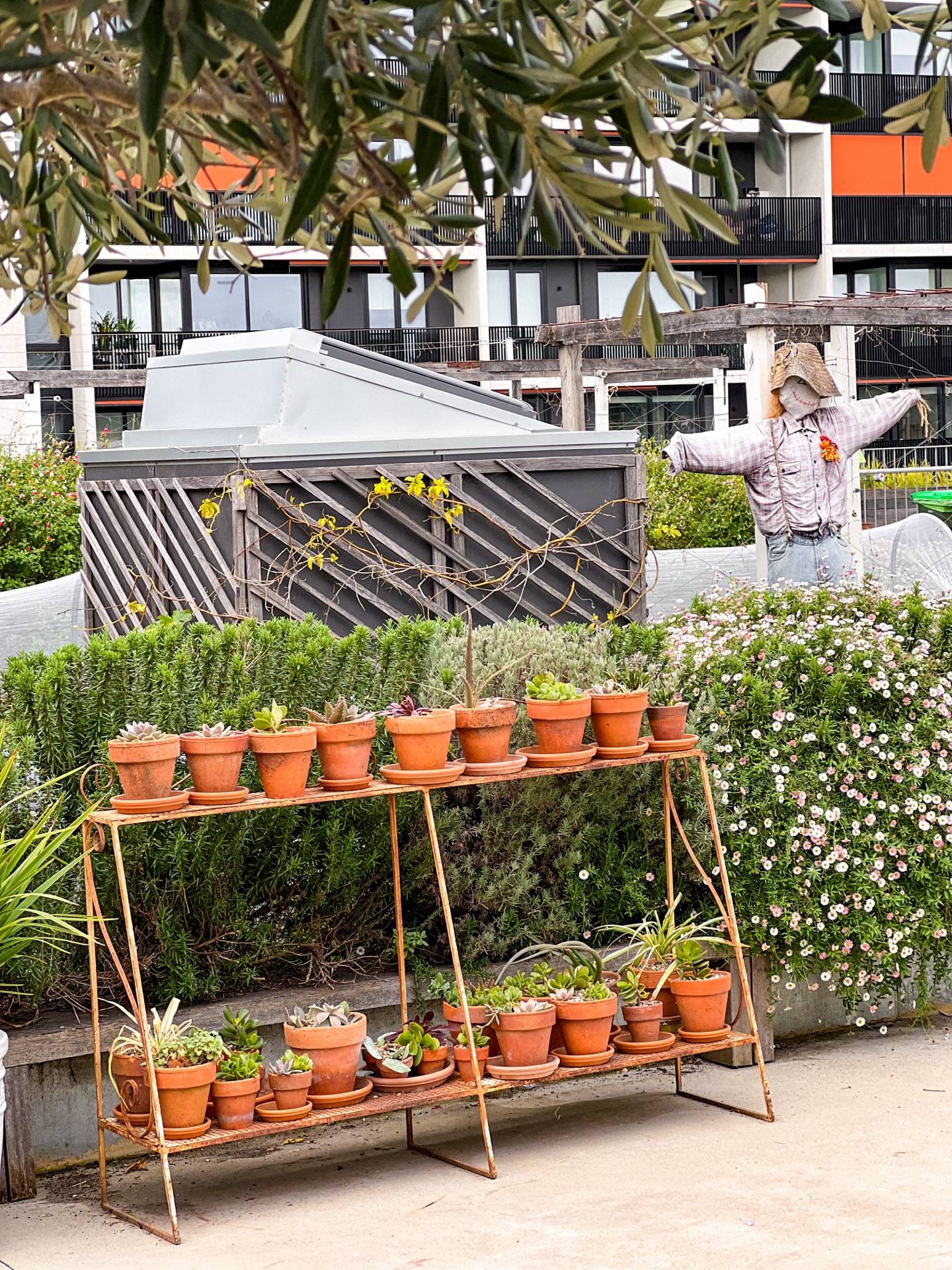 ร้าน Rombe Rooftop | รีวิวร้านอาหาร