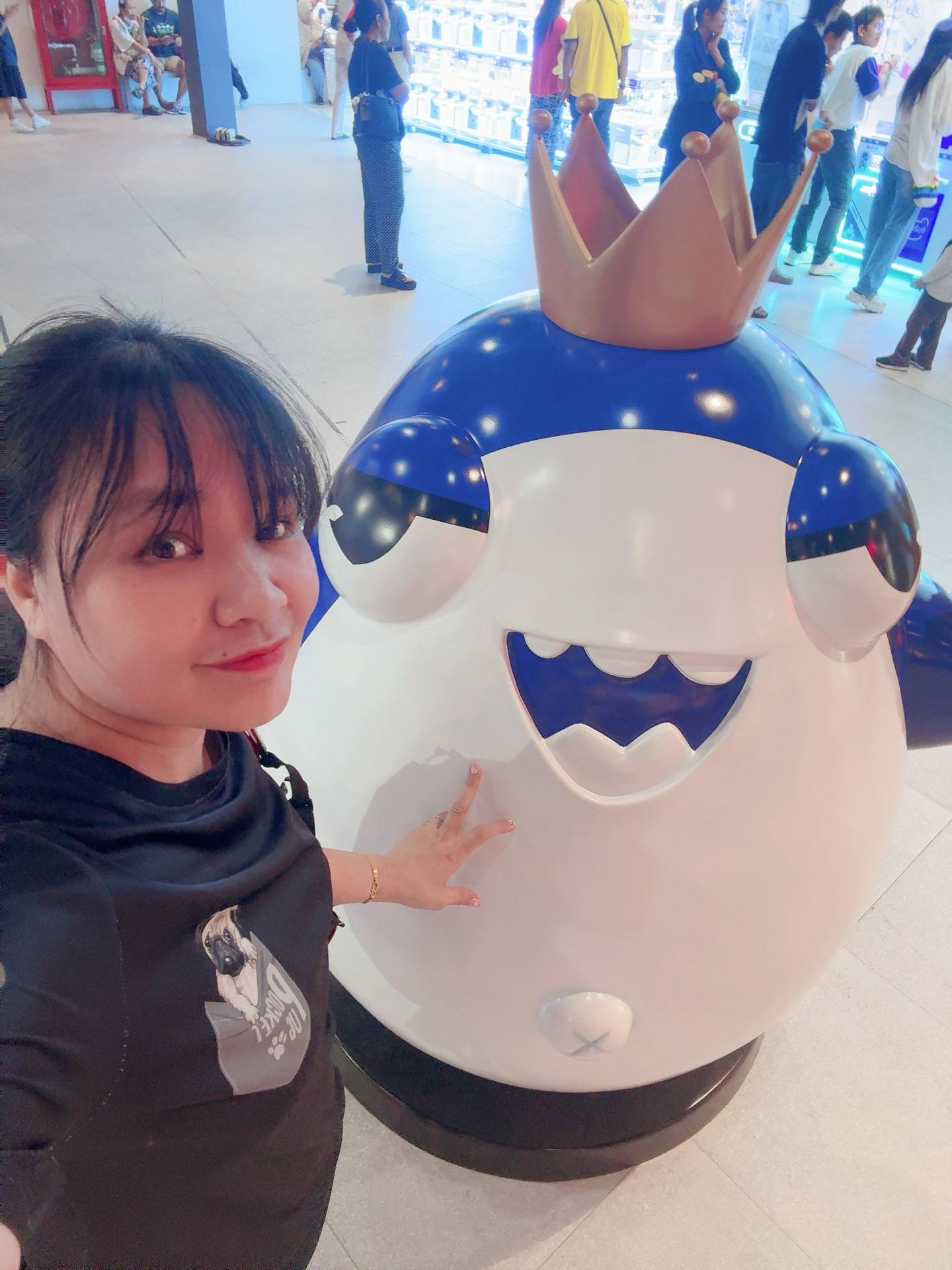 รูป Catcha King