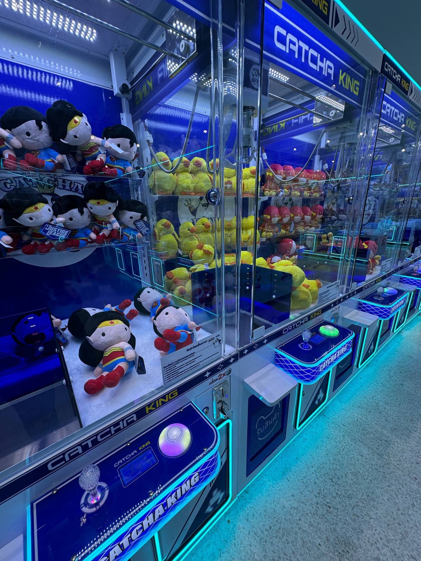 รูป Catcha King