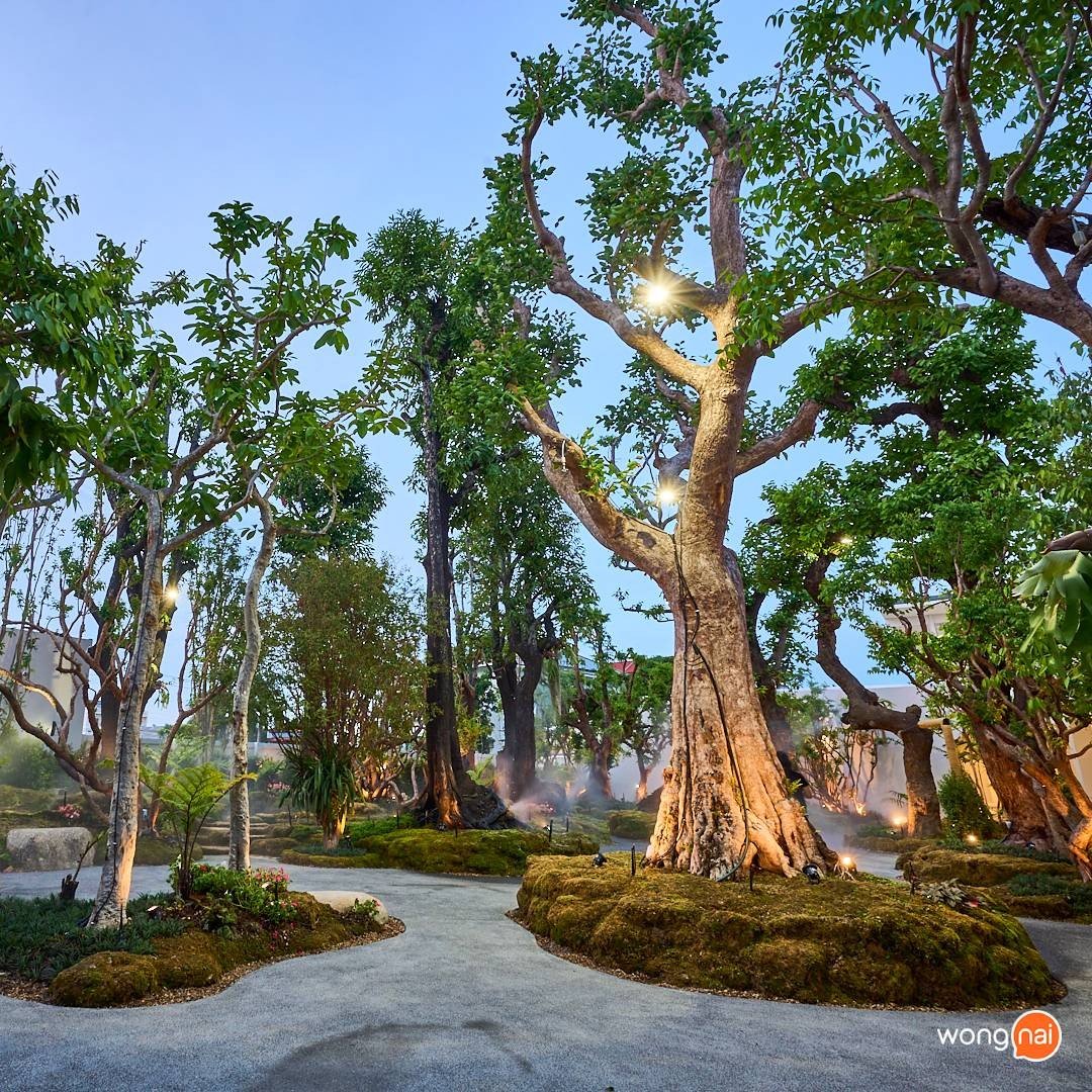 รูป Chom cafe and restaurant Huahin หัวหิน