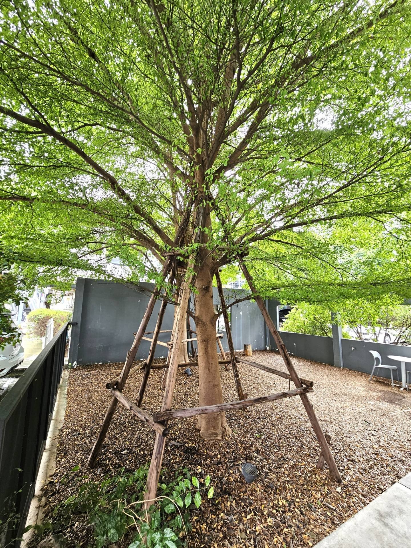 รูป PATCHWORKS Fine Pastry & Dessert บางพลัด