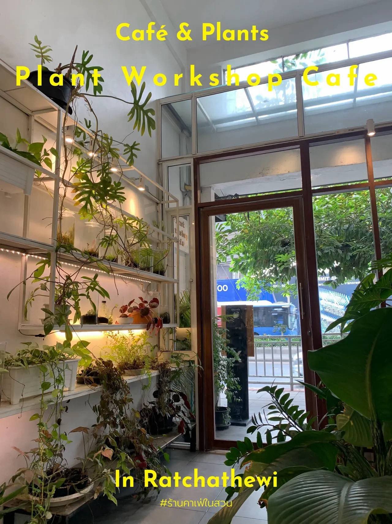 รีวิว Plant Workshop Cafe - Plant Workshop Café In Ratchathewi 🌵🪴