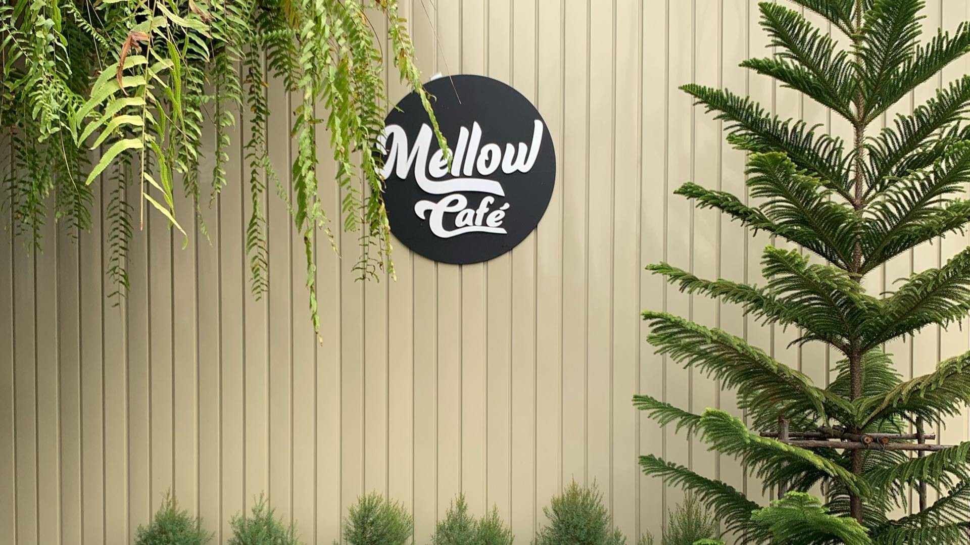 MelloW cafe | สั่งอาหารออนไลน์ล่วงหน้า รับที่ร้านผ่านแอป Wongnai ...