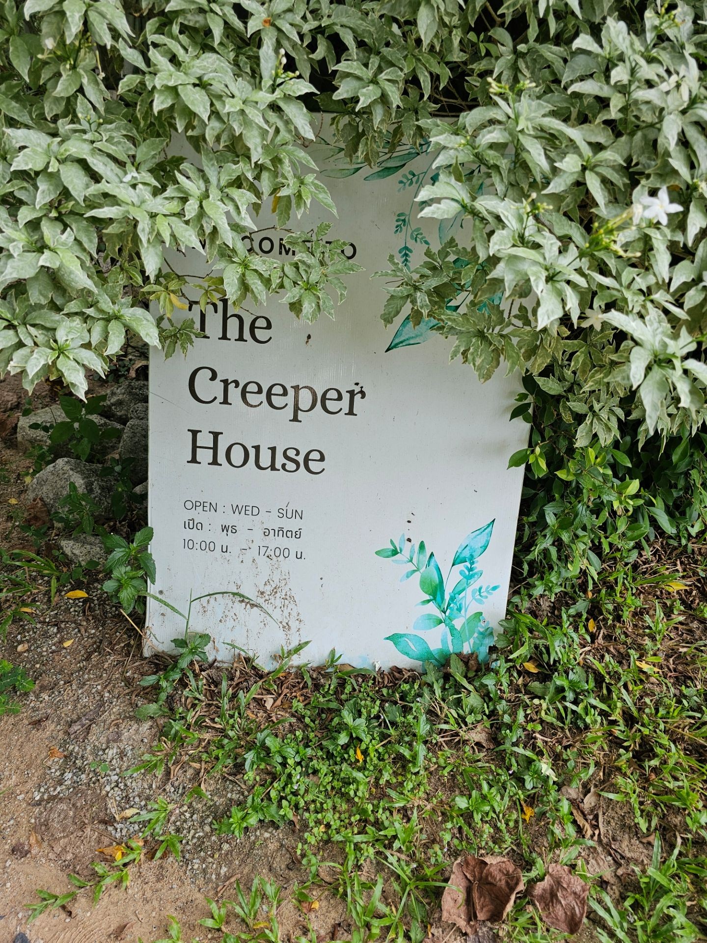 รีวิว THE CREEPER HOUSE - เล็งไว้มานาน เค้กน่ากินจริง ราคาก็ปังตามวัตถุดิบ😆