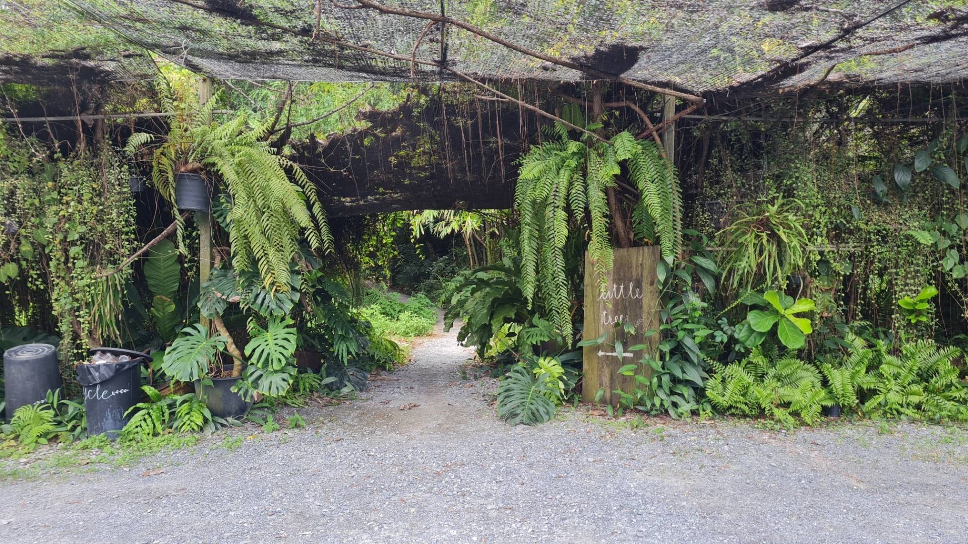 รูป Little Tree Garden