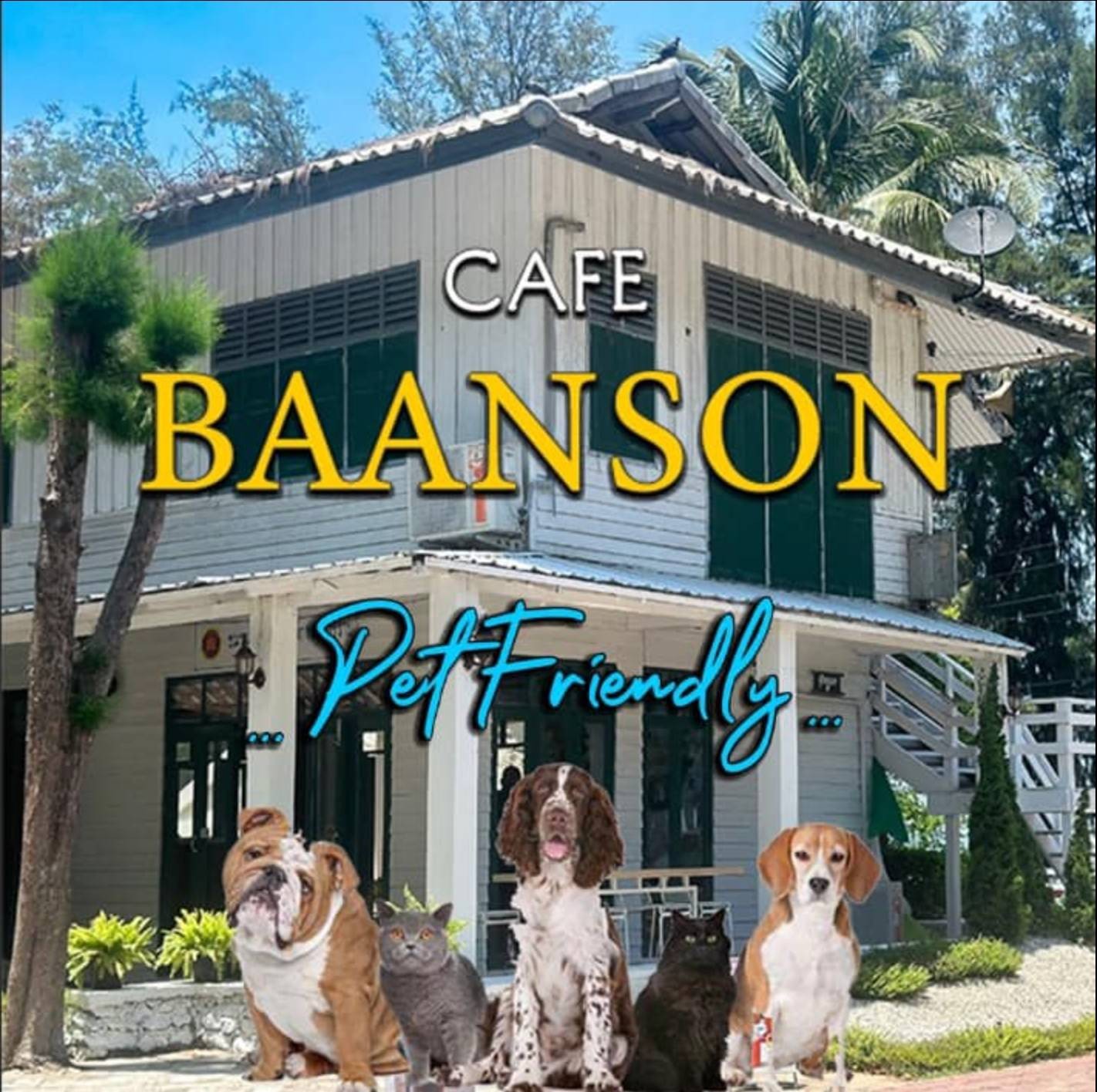 ร้าน Banson Cafe - บ้านสน คาเฟ่ | รีวิวร้านอาหาร