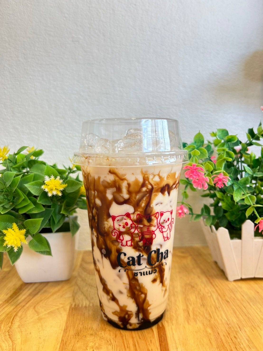 ร้าน Cat Cha ชาแมว บางแค | รีวิวร้านอาหาร