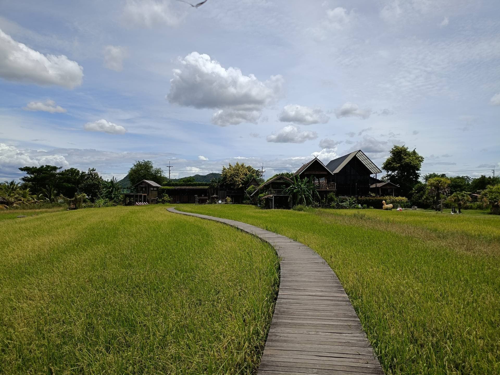รูป Natee The Rivetfront Hotel Kanchanaburi