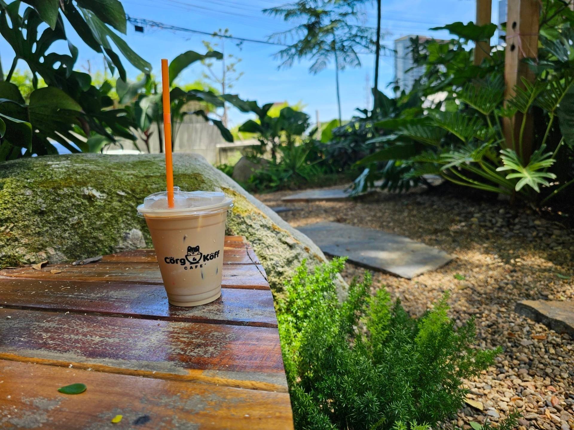 รีวิว Corg & Koff Cafe - ชาเขียวดีมาก น้องหมาก็น่ารักมากด้วย