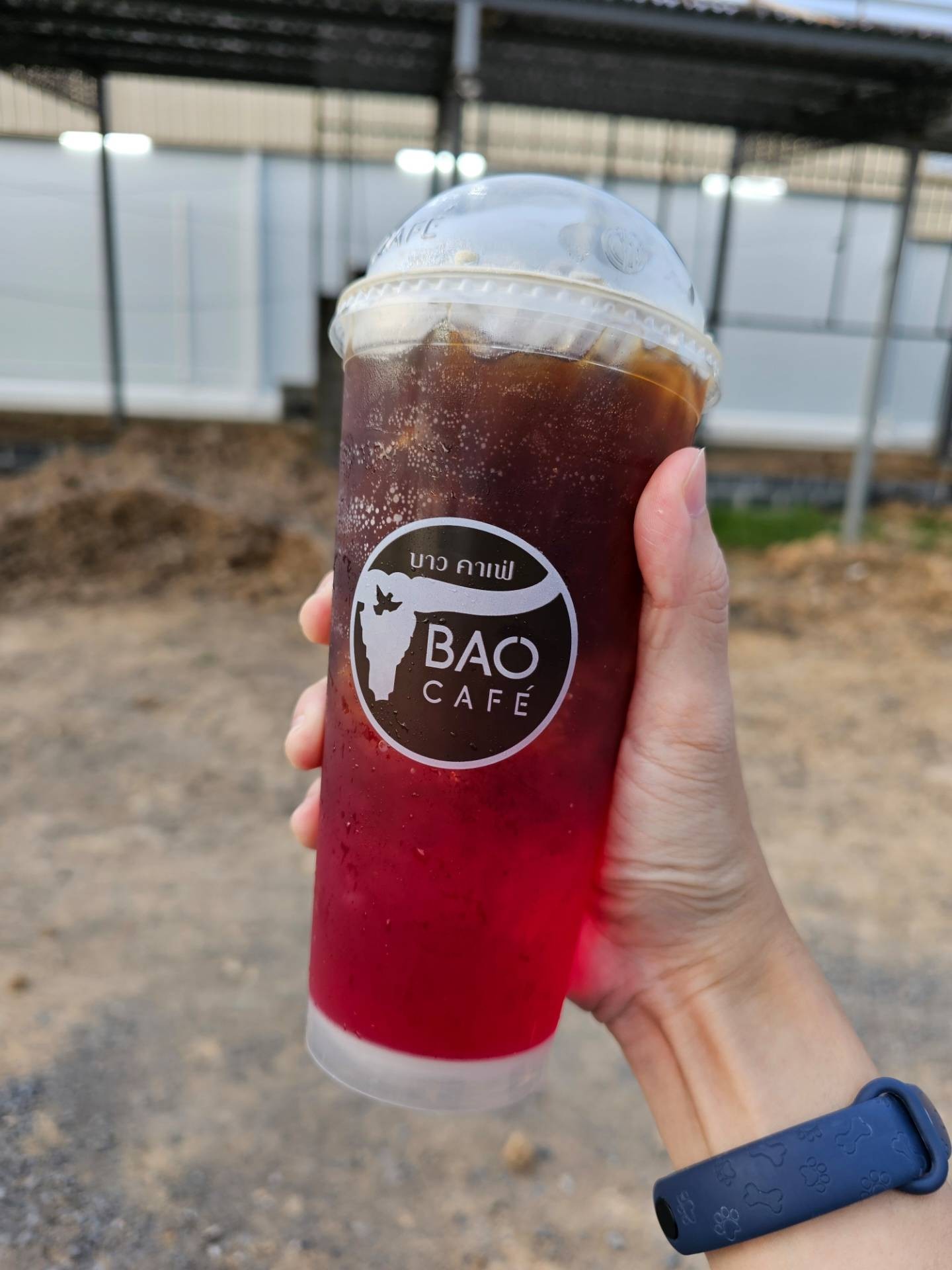 ร้าน บาว คาเฟ่ Bao Cafe กุดนกเปล้า | รีวิวร้านอาหาร