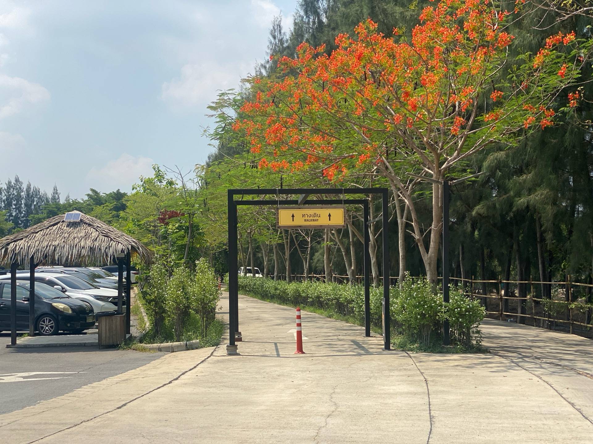 รีวิว DuBua - คาเฟ่และสวนสัตว์ขนาดย่อม ของครอบครัว