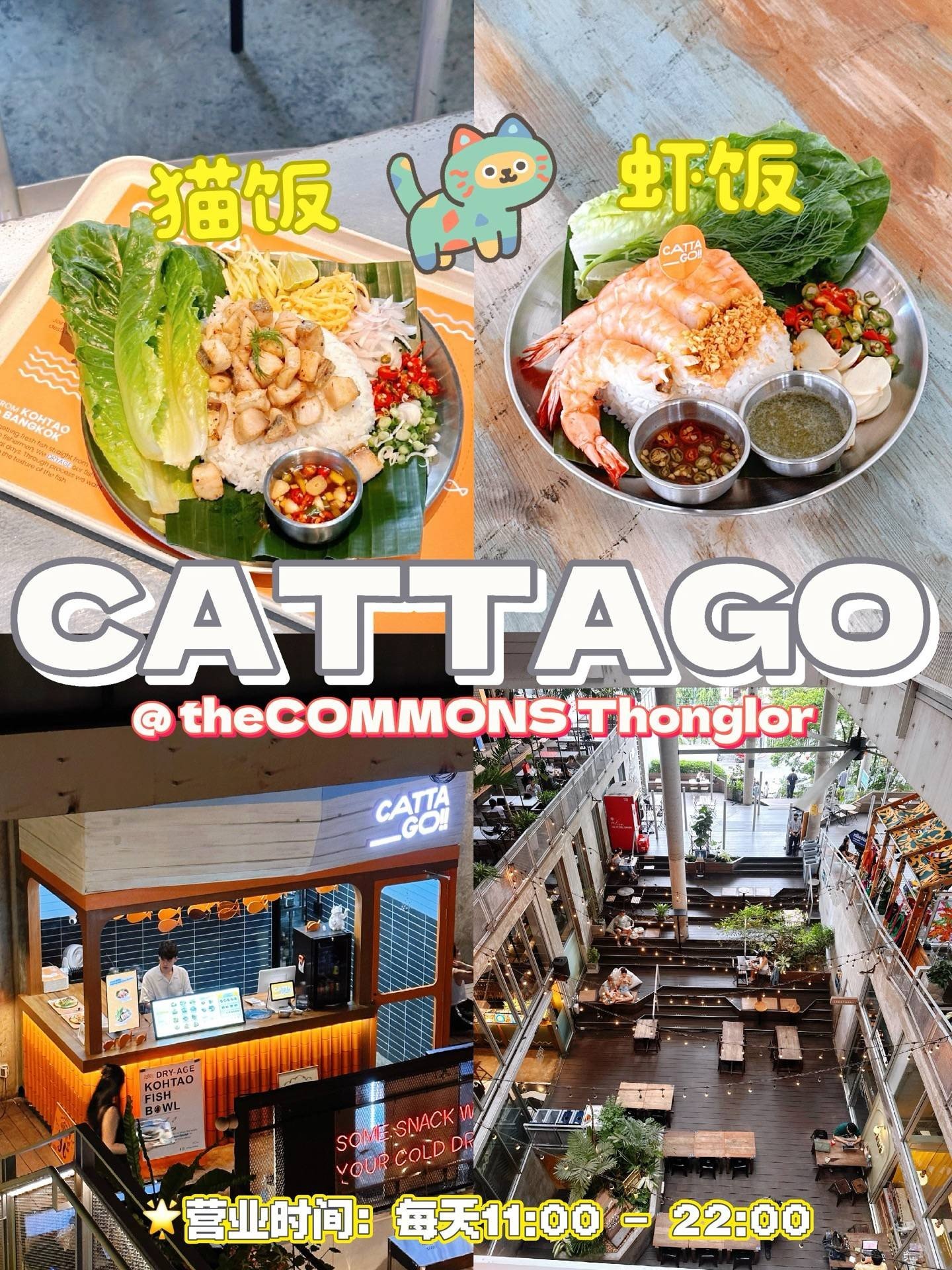 รีวิว Catta Go!! The Commons ทองหล่อ - CATTAGO 😋 ร้านข้าวหน้าปลาแกะจาก ...