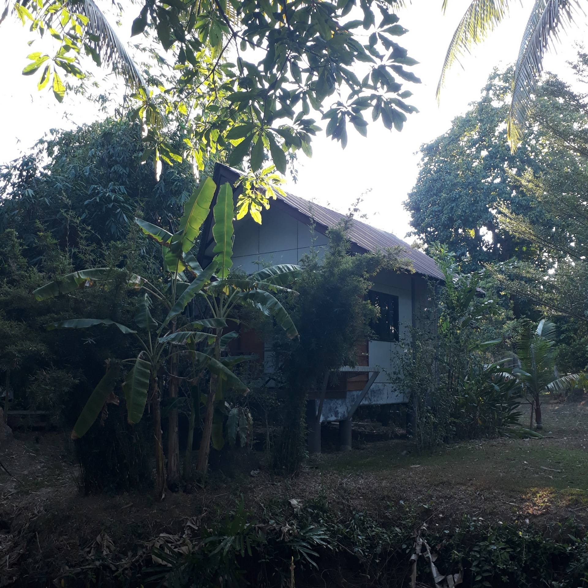 รีวิว Villa Varich - Villa Varich อำเภอเมืองชุมพร บรรยากาศริมคลอง