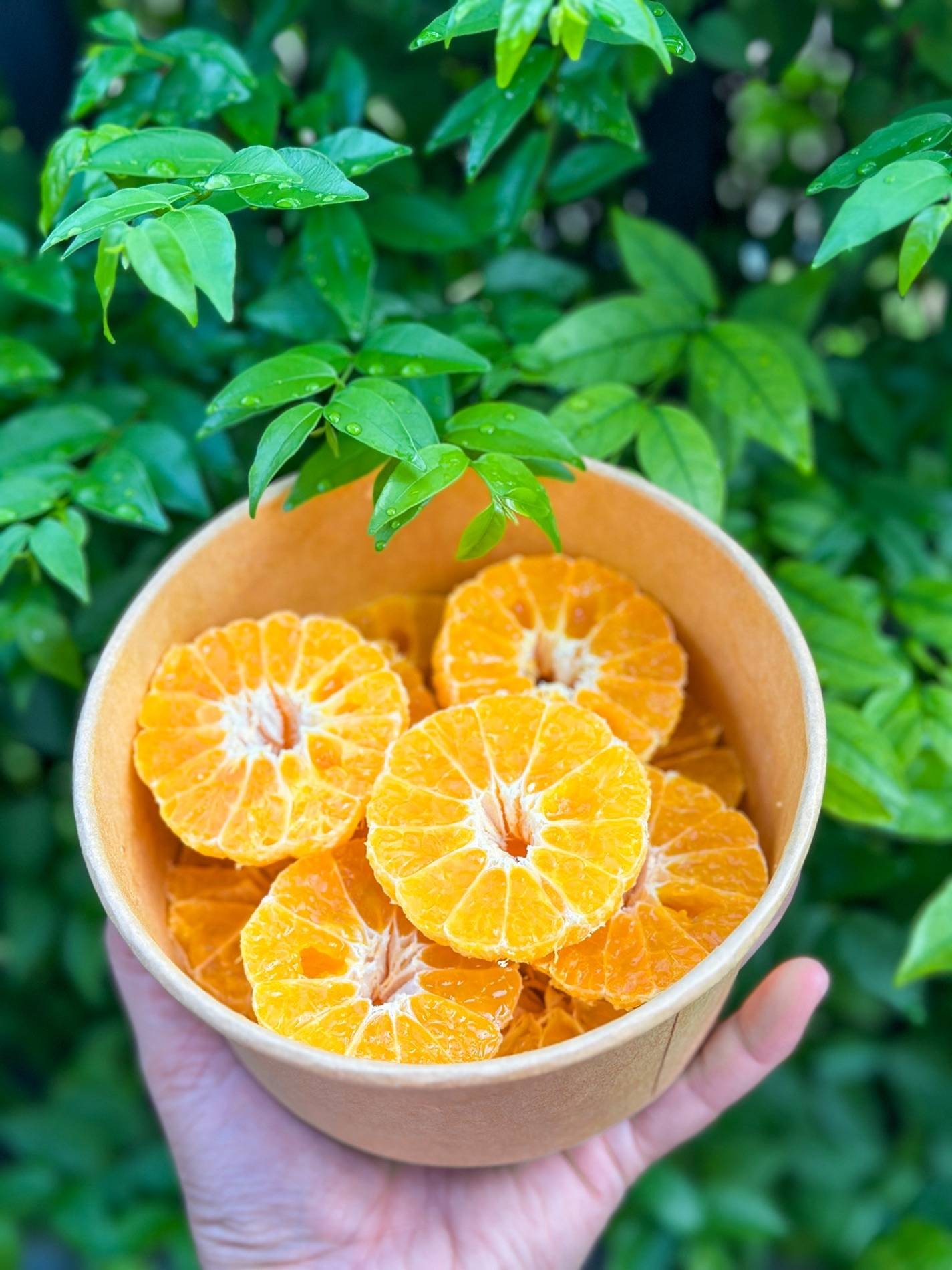 ร้าน MJ mixed fruit | รีวิวร้านอาหาร