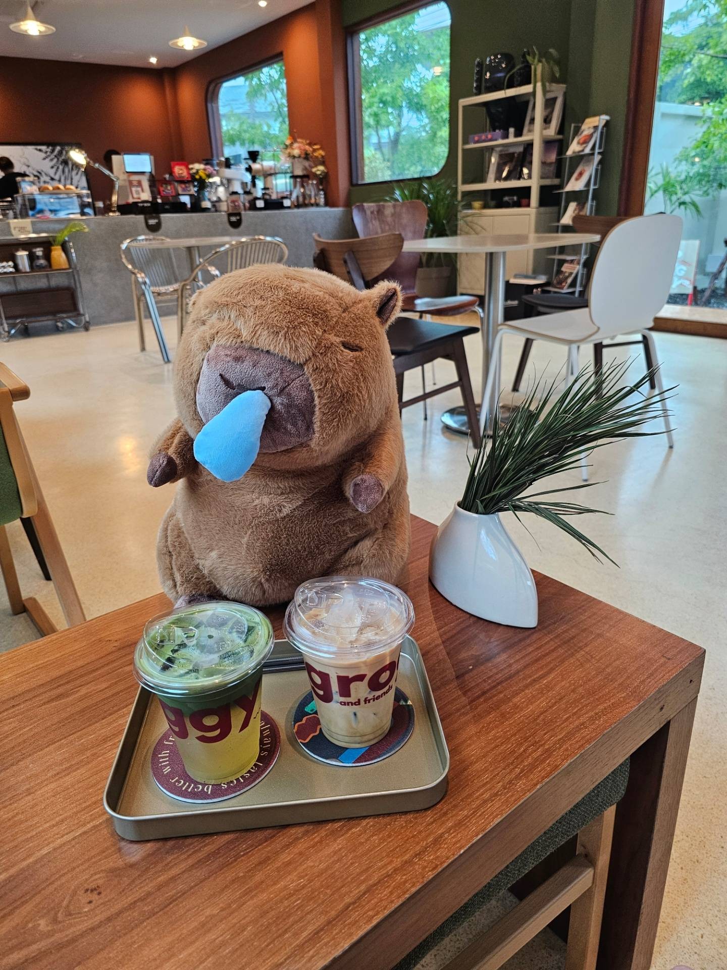รีวิว GROGGY COFFEE GROGGY AND FRIEND - คาปิบาร่า น่าร้ากกก 🤗🤗🤗
