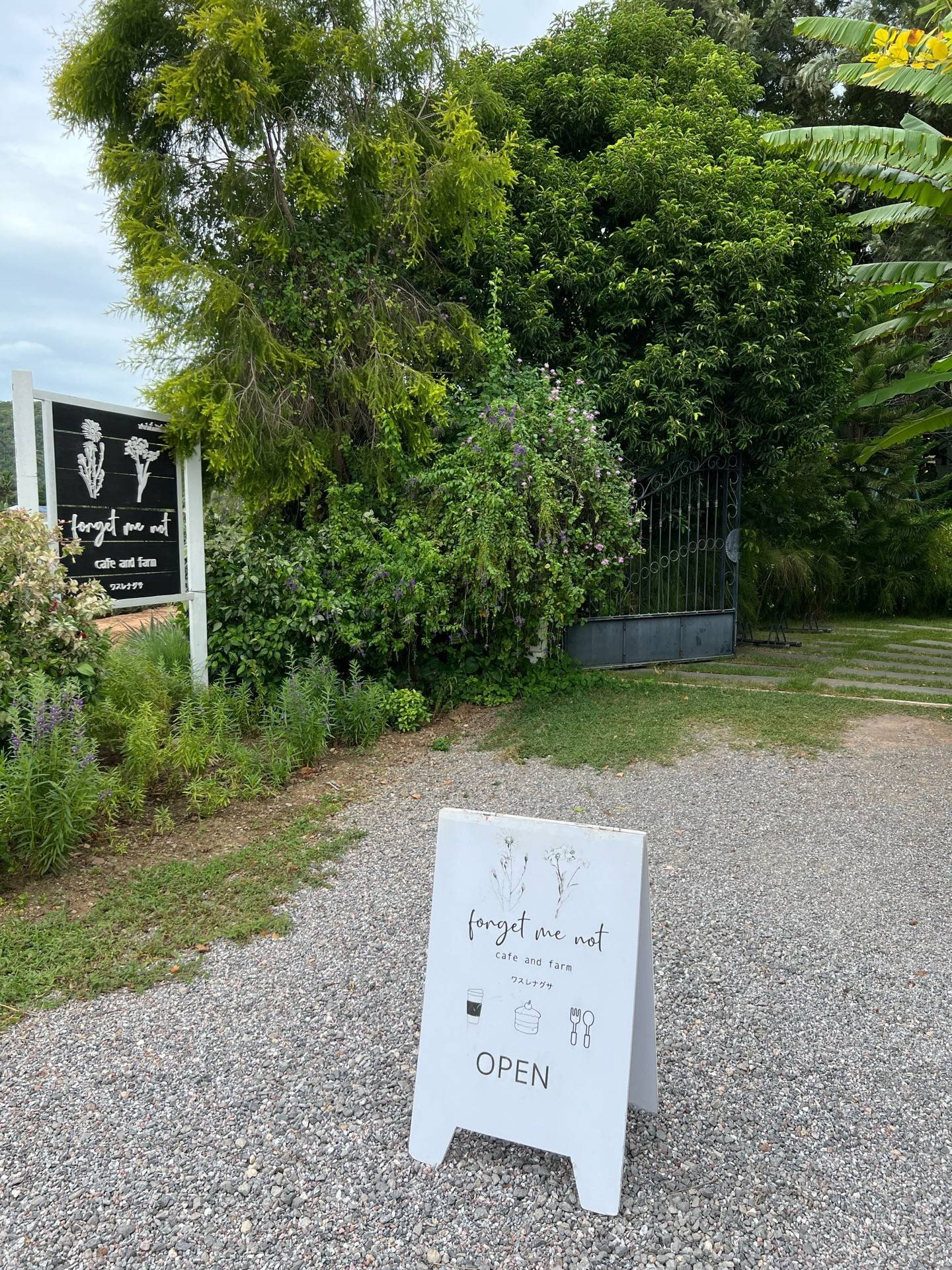 รีวิว Forget Me Not - Forget me not แล้วเราจะกลับไปอีก