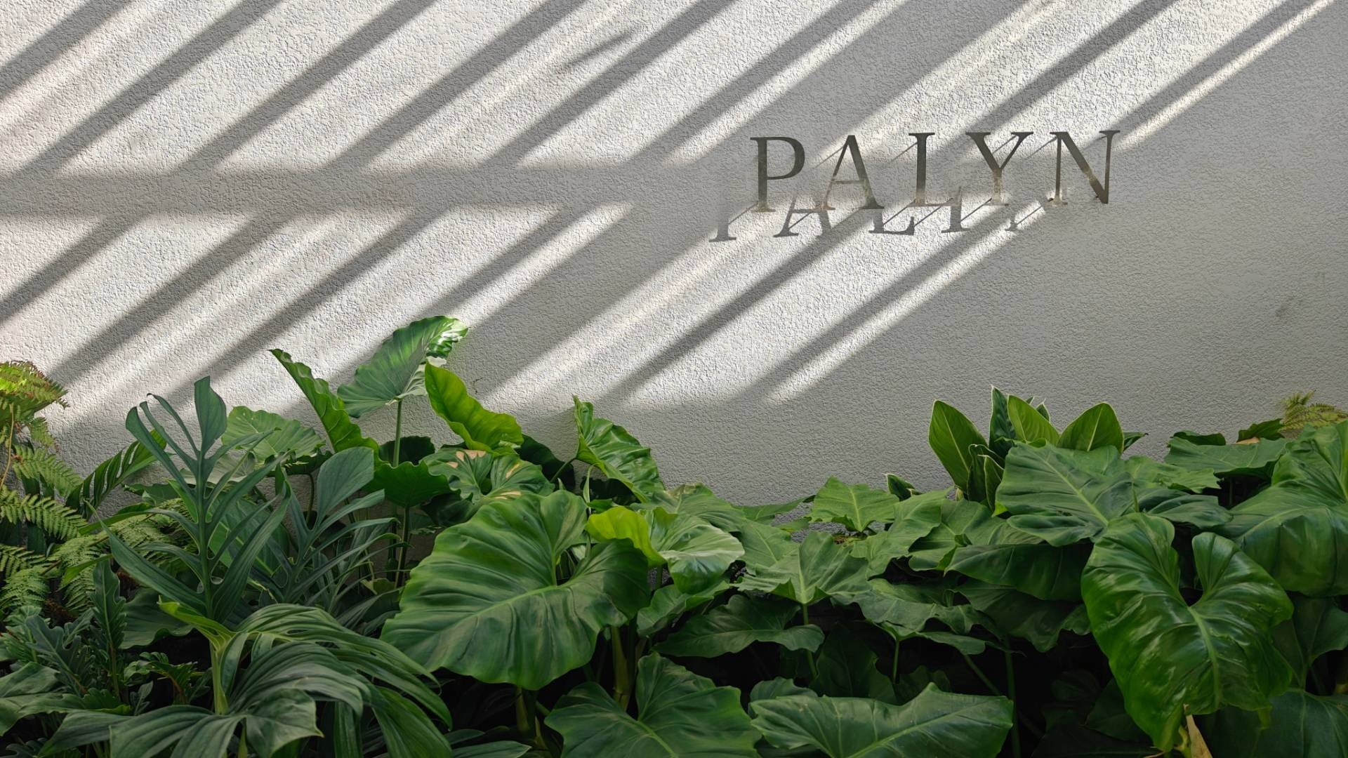 รูป Palyn Cafe & Eatrey ปาลินคาเฟ่แอนด์อิทเทอรี่