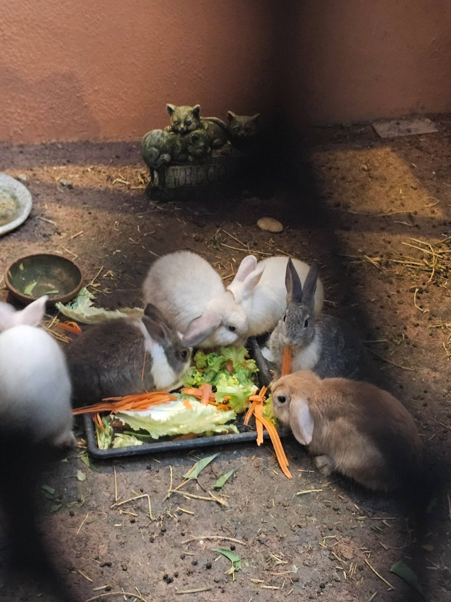 รูป WHIP CAFE Bangsaen