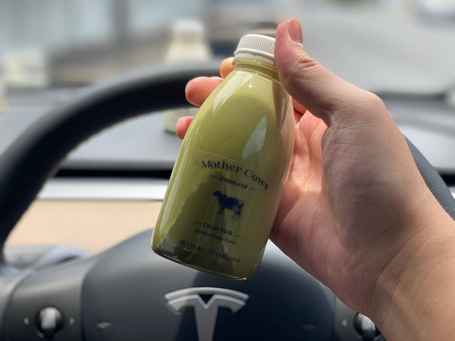 รูป Mother Cows. เมืองทองธานี