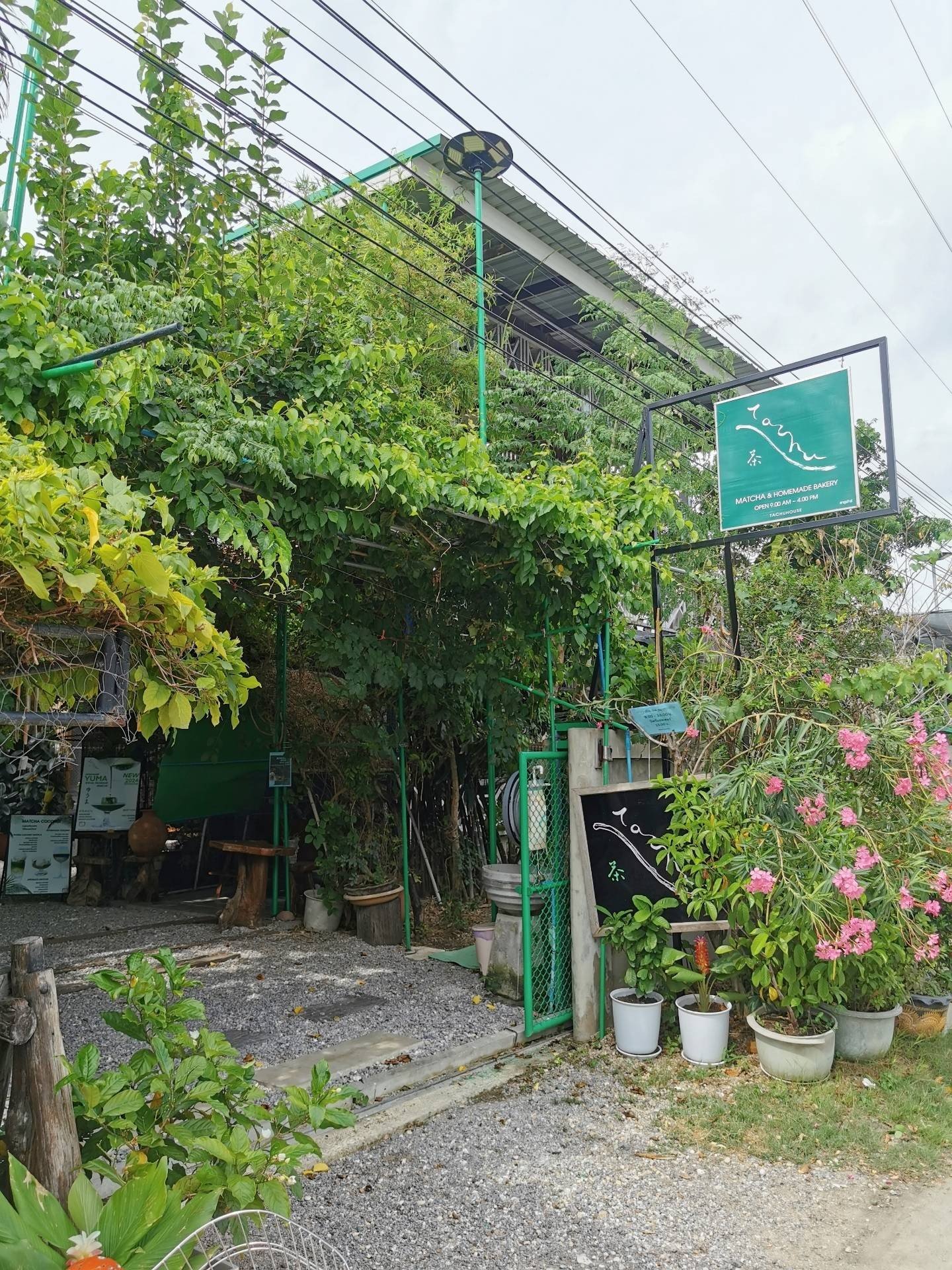รีวิว Tachuhouse - Tachu House ร้านมัทฉะเป็นร้านลับโฮมคาเฟ่กลางสวนในตัว ...