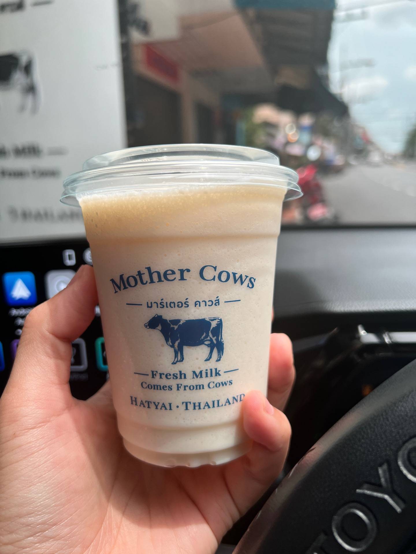 รูป Mother.cows