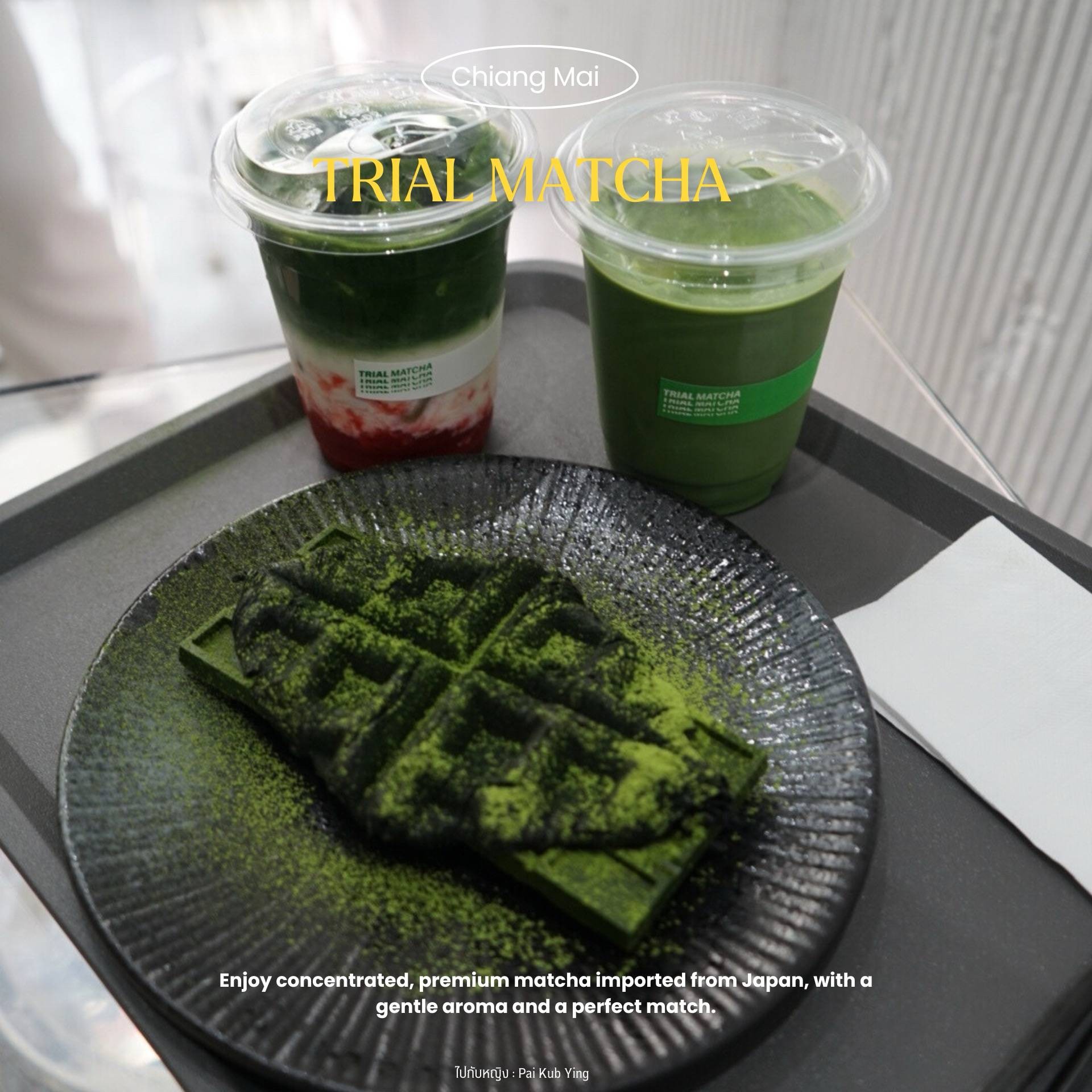 รีวิว TRIAL MATCHA - คาเฟ่มัทฉะ เชียงใหม่