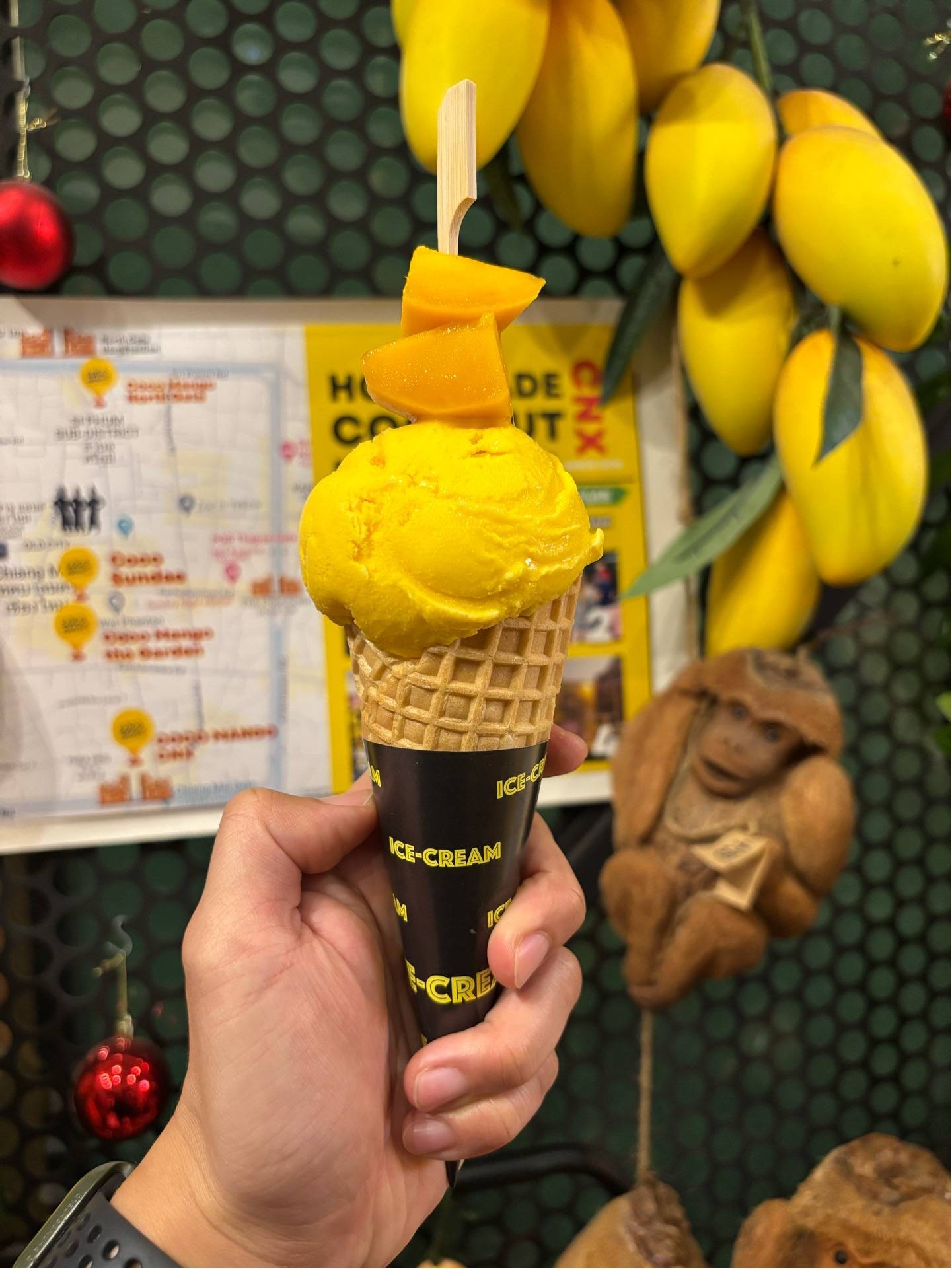 รูป Coco Mango CNX