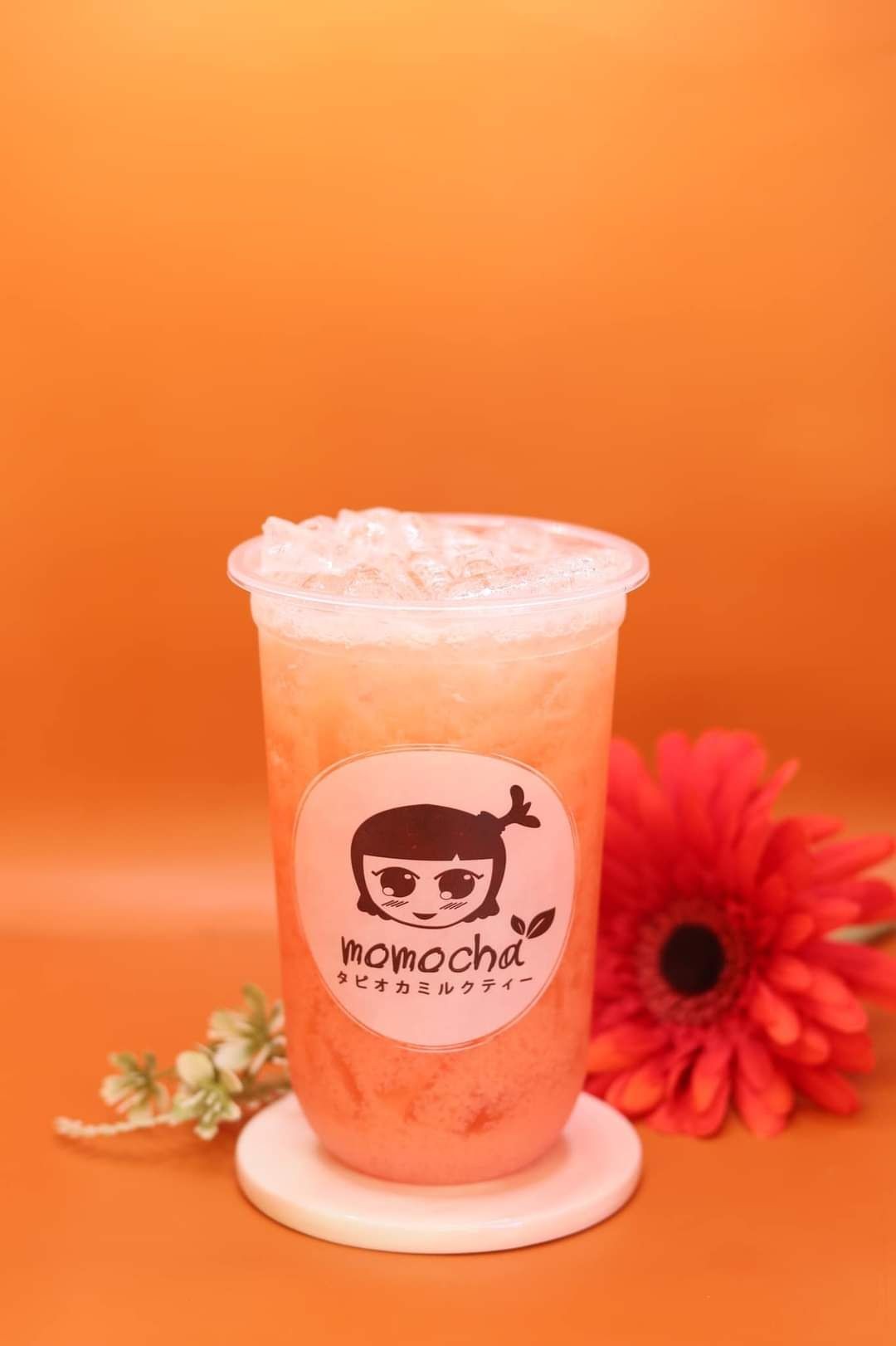 ร้าน Momocha อินทามระ41 Momocha | รีวิวร้านอาหาร