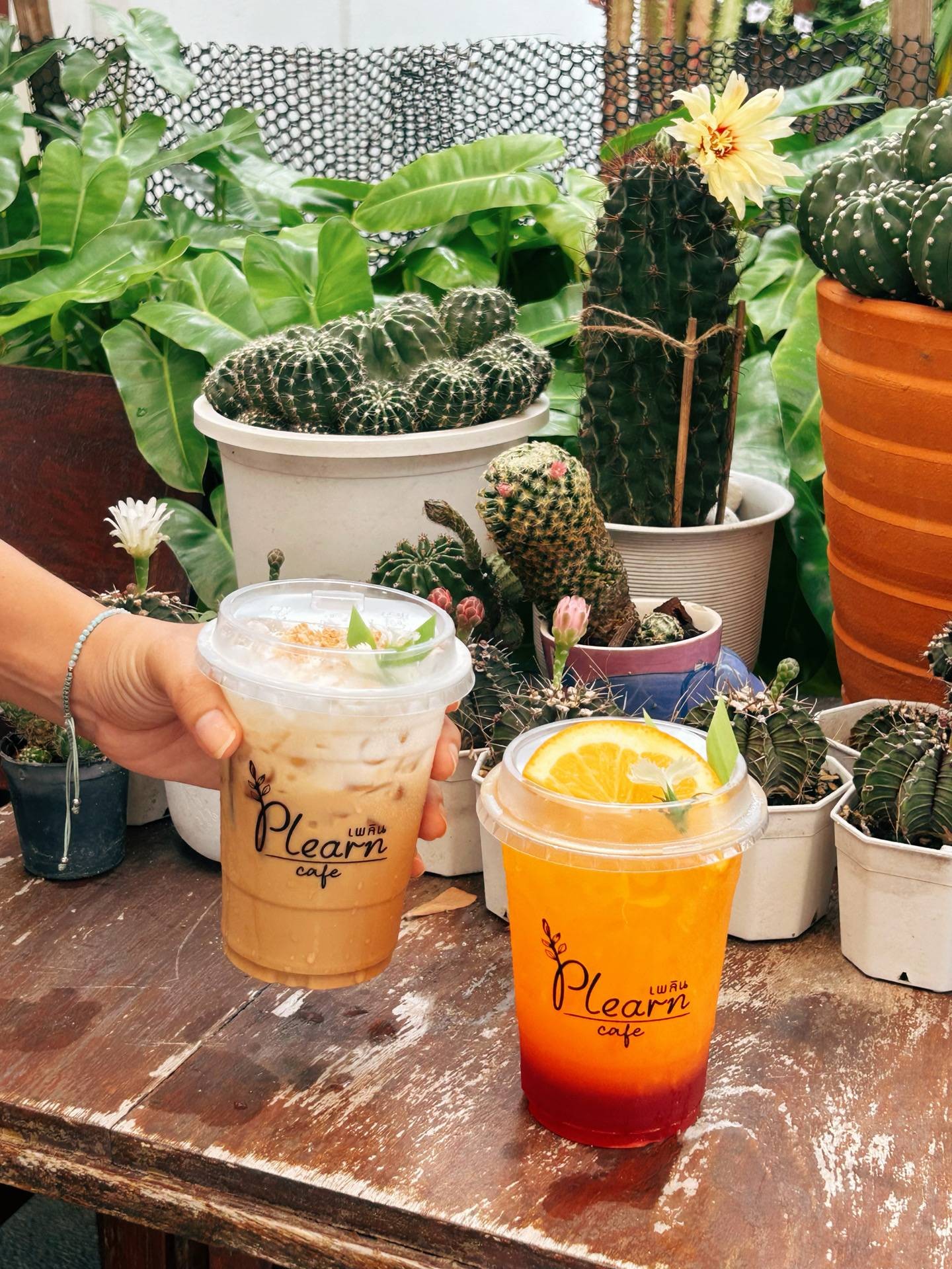 รีวิว Plearn Cafe Bangpu - เพลิน คาเฟ่ บางปู บางปู - เพลินคาเฟ่บางปู ...