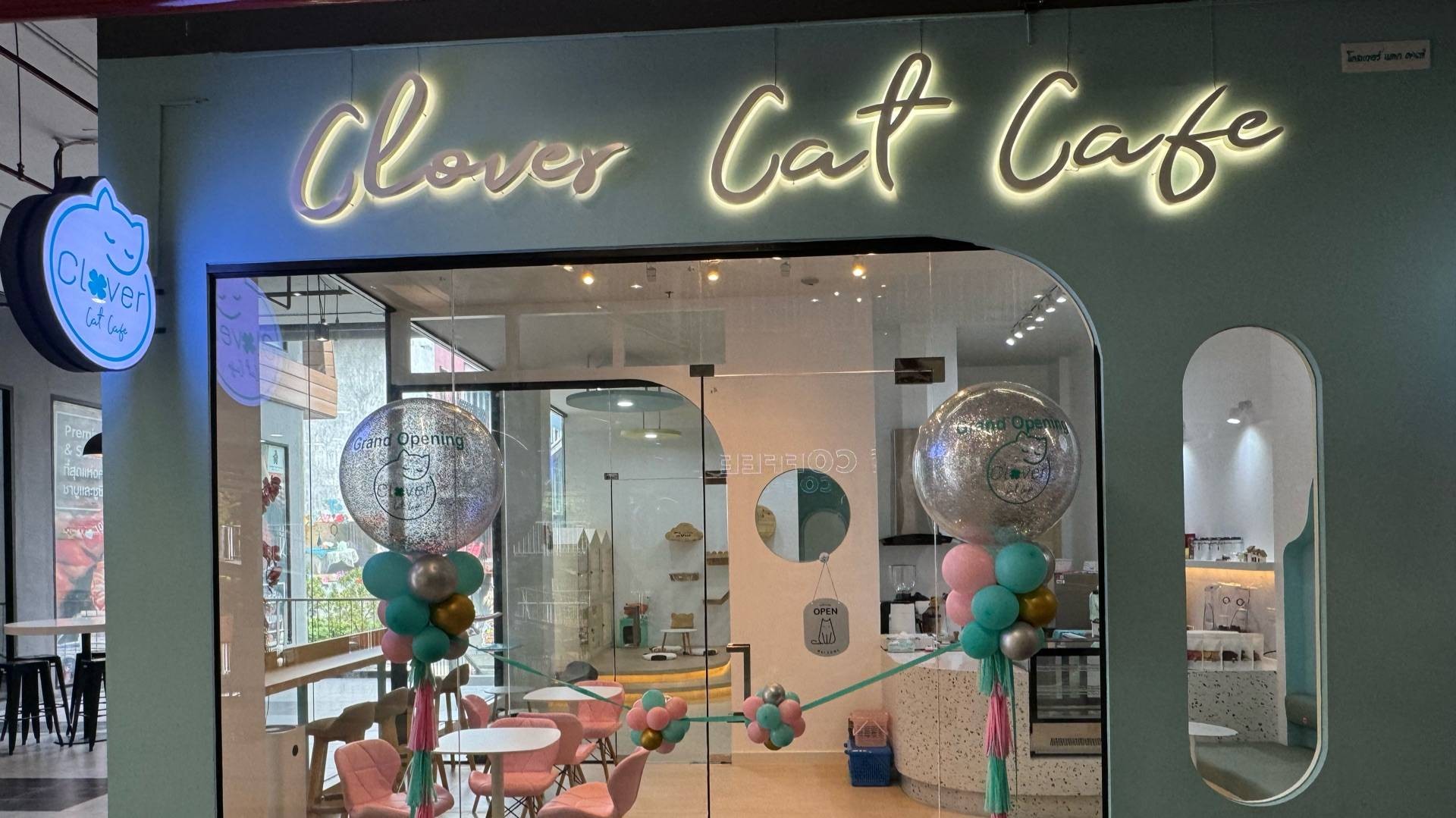 Clover Cat Cafe - - สั่งอาหารเดลิเวอรี | Wongnai x LINE MAN