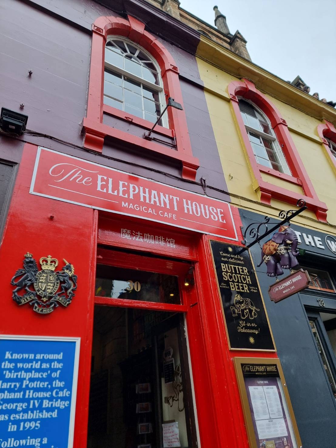 ร้าน The Elephant house | รีวิวร้านอาหาร