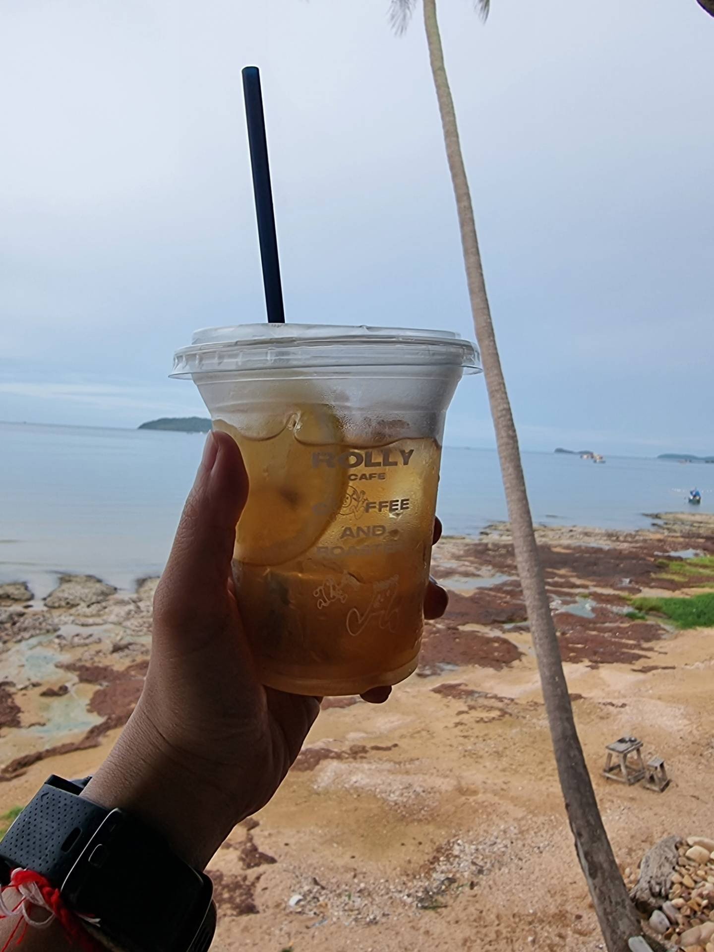 รีวิว Rolly Cafe - 📍 《𝐑𝐨𝐥𝐥𝐲 𝐂𝐚𝐟𝐞》 ร้านกาแฟไซส์มินิ แต่วิวสวยจนต้องว้าว 😍