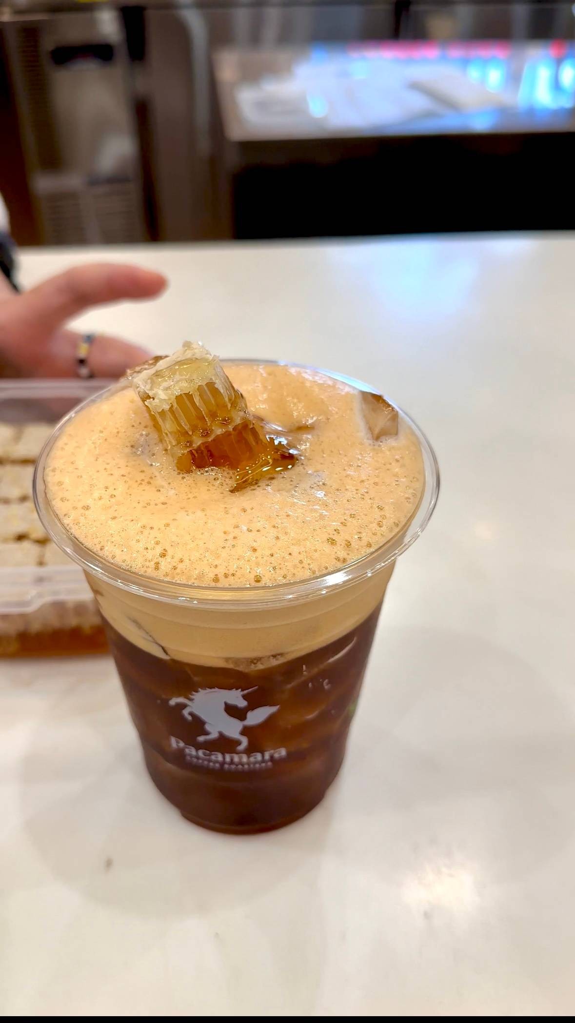รีวิว PACAMARA The Mall Lifestore Bangkapi - ชาไทยน้ำผึ้งร้านนี้อร่อยดี 🤎🍯