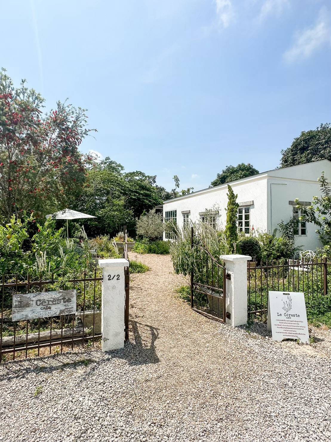 รีวิว Le Cereste Cafe Cha-Am - คาเฟ่สไตล์สวนน่ารัก มีมุมถ่ายรูปปังๆเพียบ