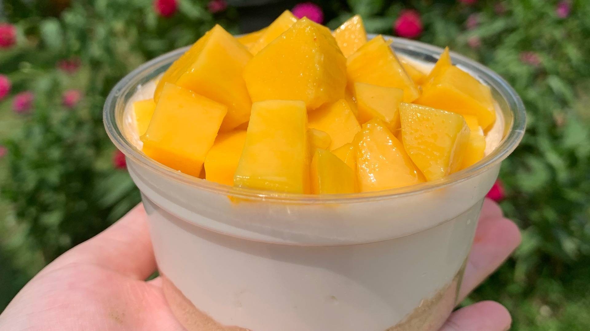 Fancy Greek yogurt กรีกโยเกิร์ตกับผลไม้ - สั่งอาหารเดลิเวอรี | Wongnai ...