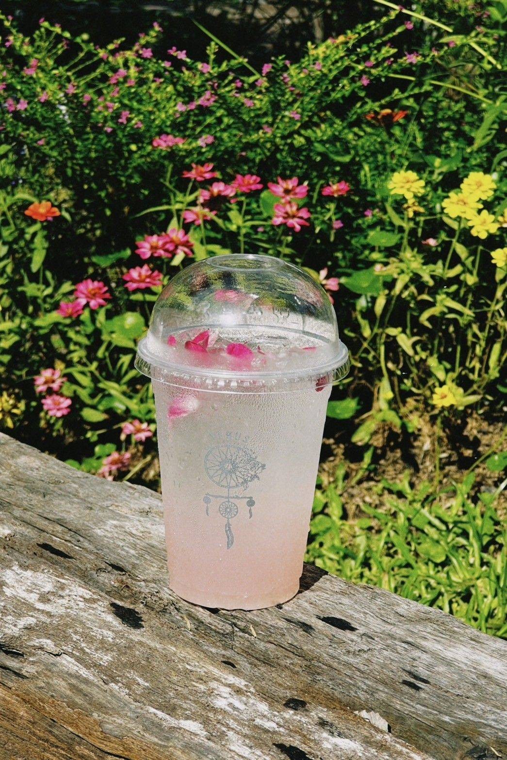 Venus Cafe&Restaurant - สั่งอาหารเดลิเวอรี | Wongnai x LINE MAN