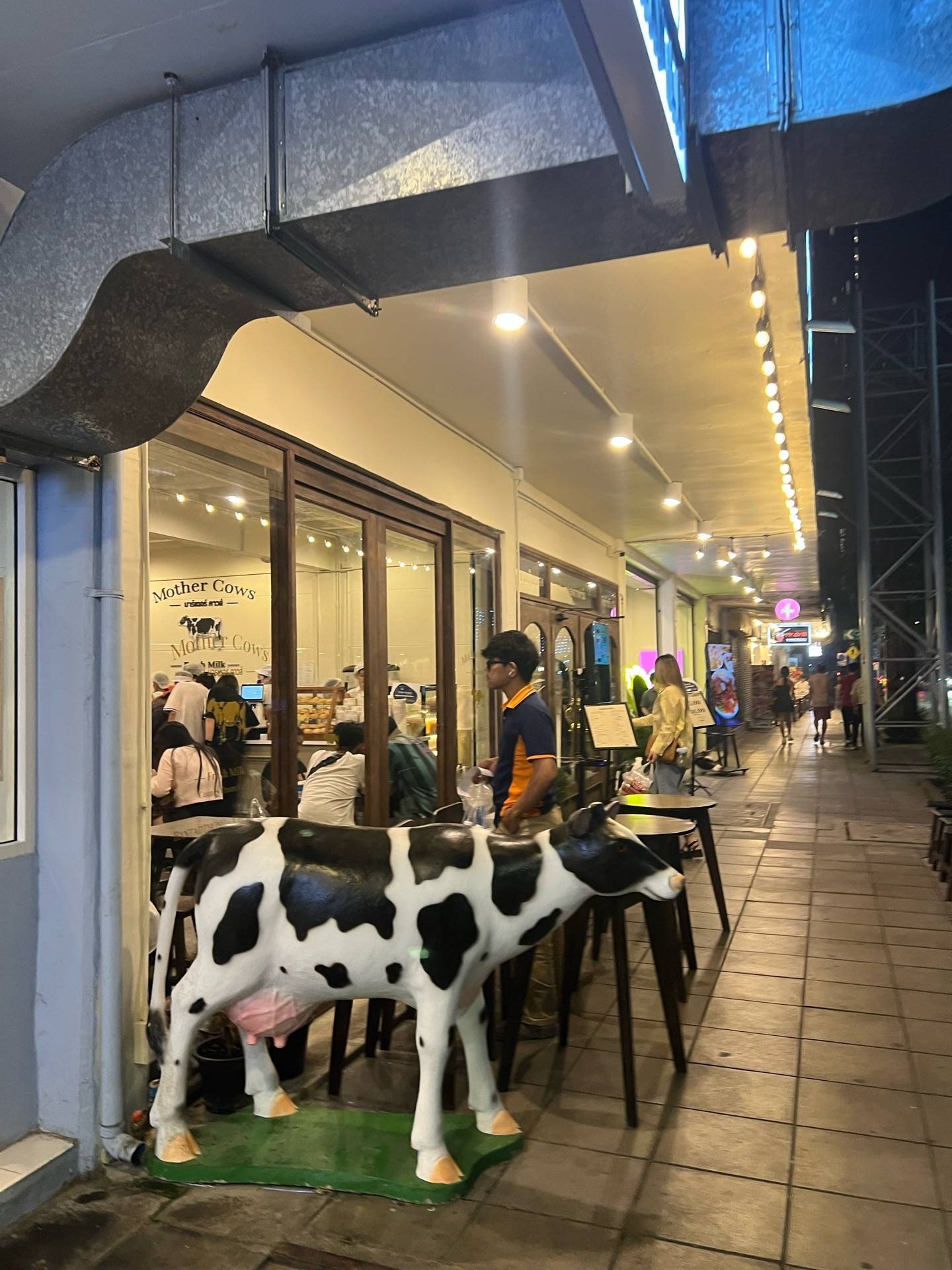 รูป Mother Cows บรรทัดทอง