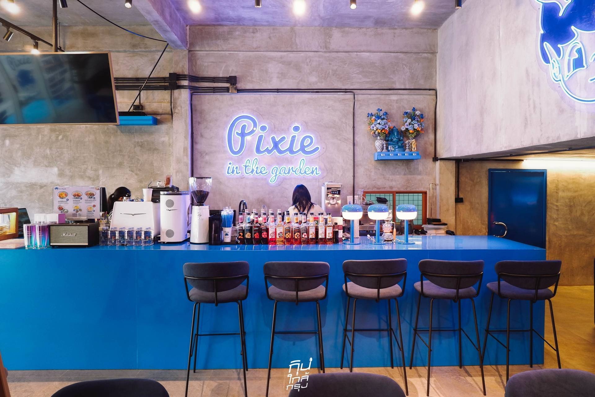 Pixie in the garden Café