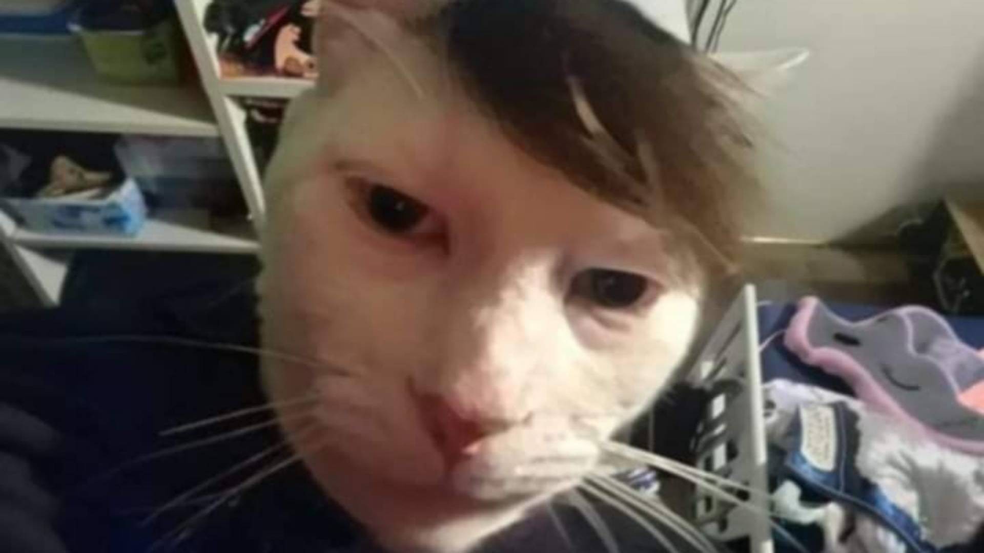 Ichi •coffee • Sparkling• Bread - สั่งอาหารเดลิเวอรี | Wongnai x LINE MAN