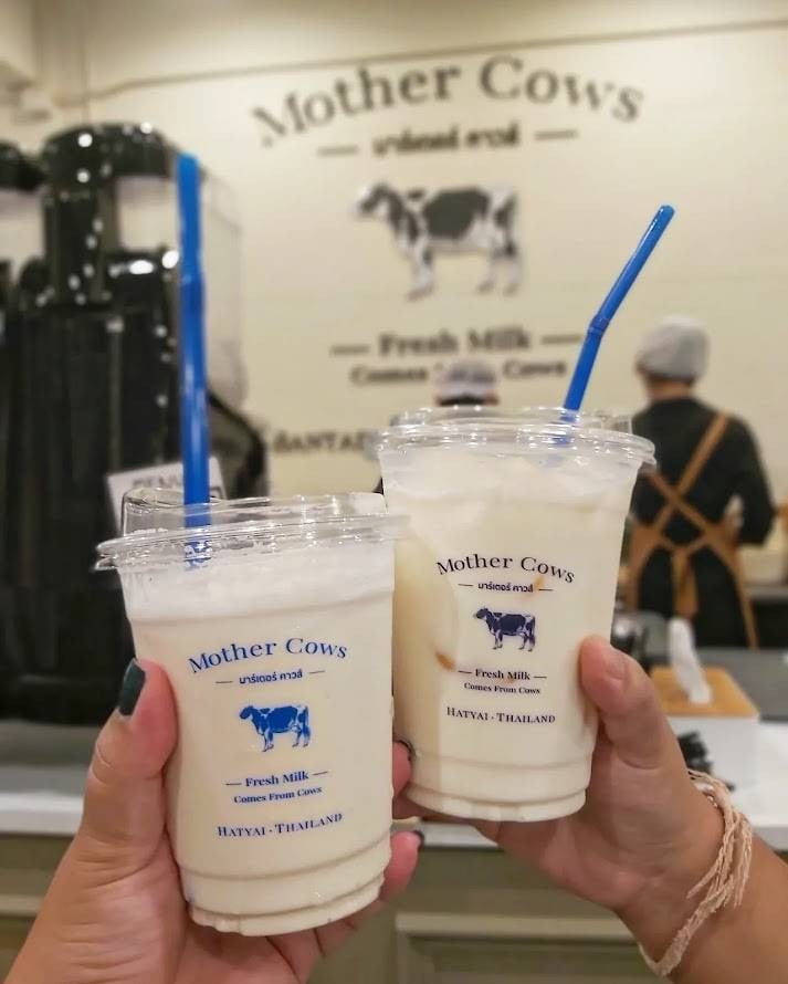 รีวิว Mother Cows บรรทัดทอง - ‘นมสดจากฟาร์มร้านดังจากหาดใหญ่สู่บรรทัดทอง’