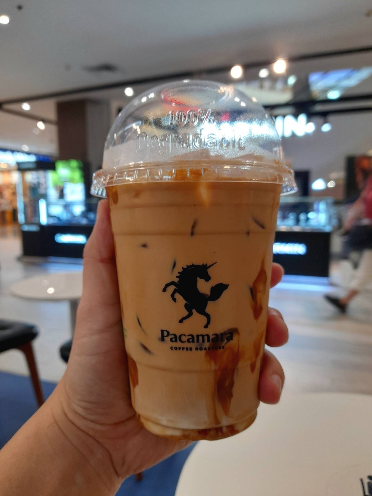 รีวิว PACAMARA เซ็นทรัล ปิ่นเกล้า - ร้านนี้กาแฟดีงามเลยนะ แวะมานั่งจิบกาแฟให้ชื่นใจระหว่างเดินช้ ...