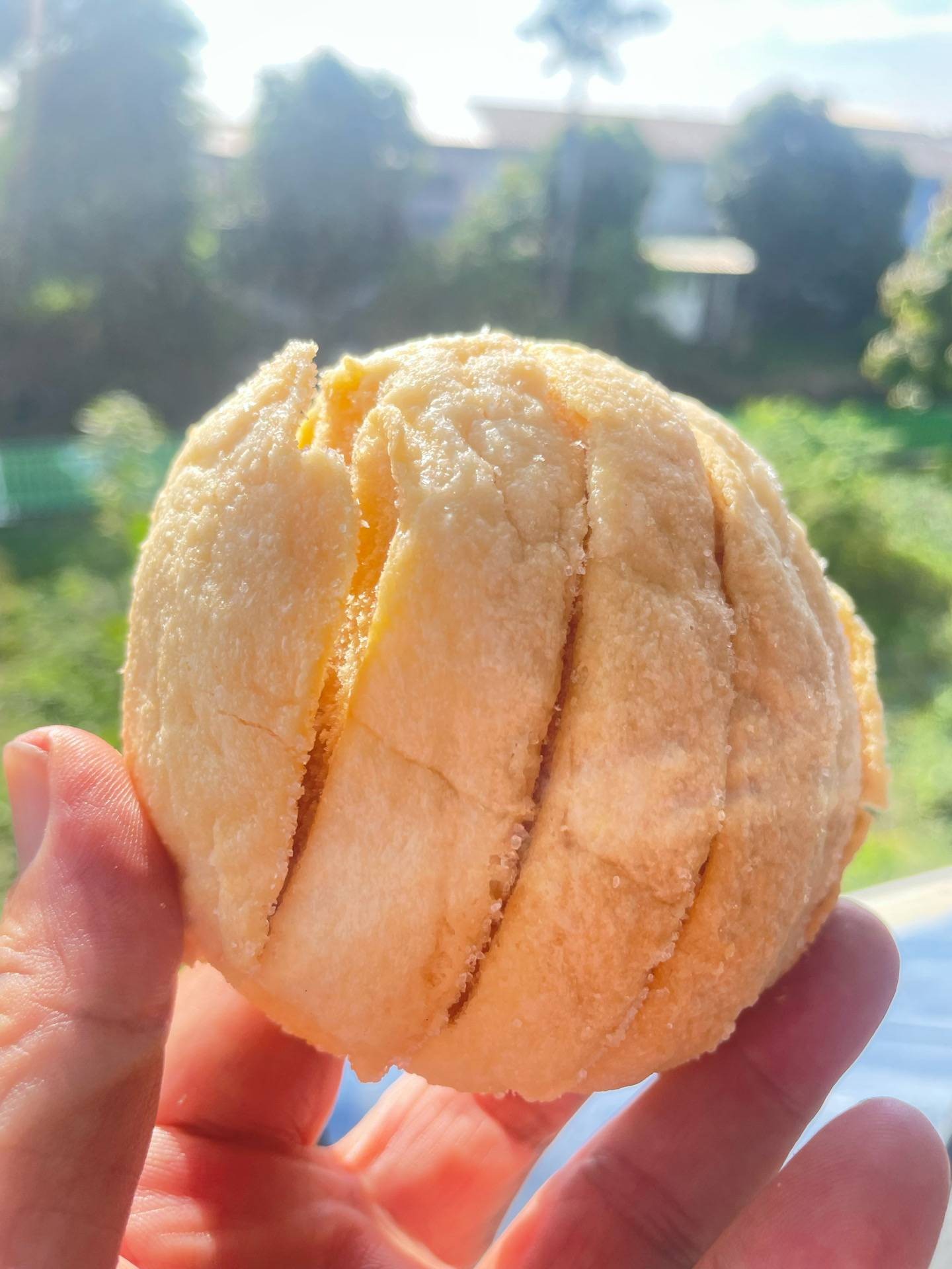 รีวิว Hanabachi Bakery & Cafe - อร่อย ราคาไม่แพง